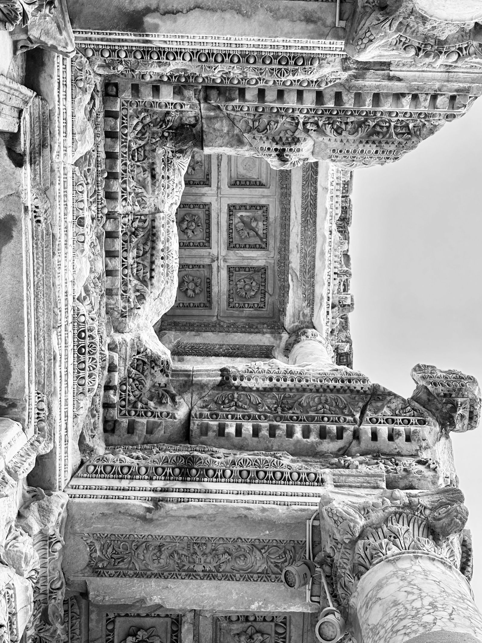 Tawnee Stone Photos, Download The BEST Free Tawnee Stone Stock Photos ...