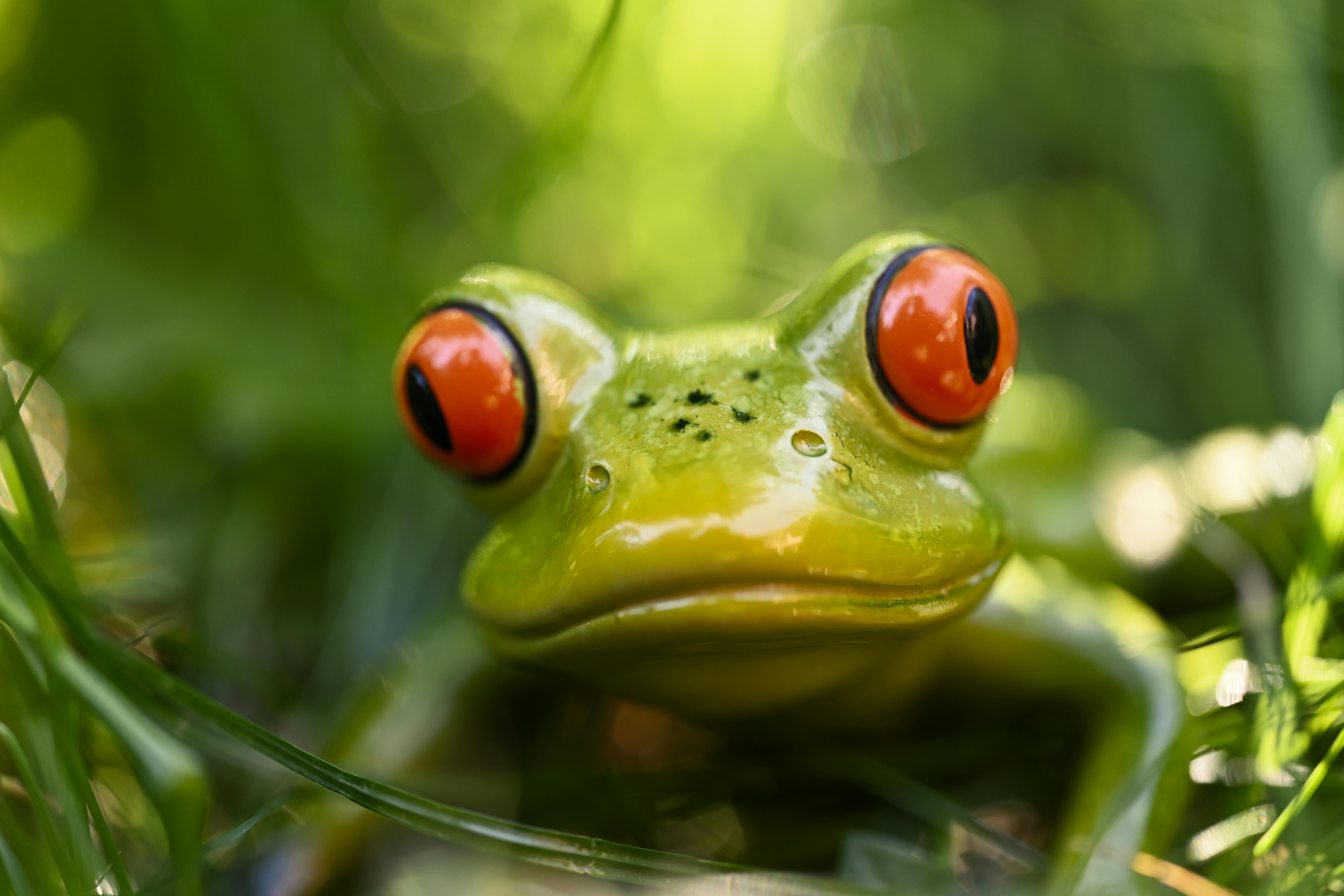 Realistic Zoom Background Photos, Download The BEST Free Realistic Zoom ...