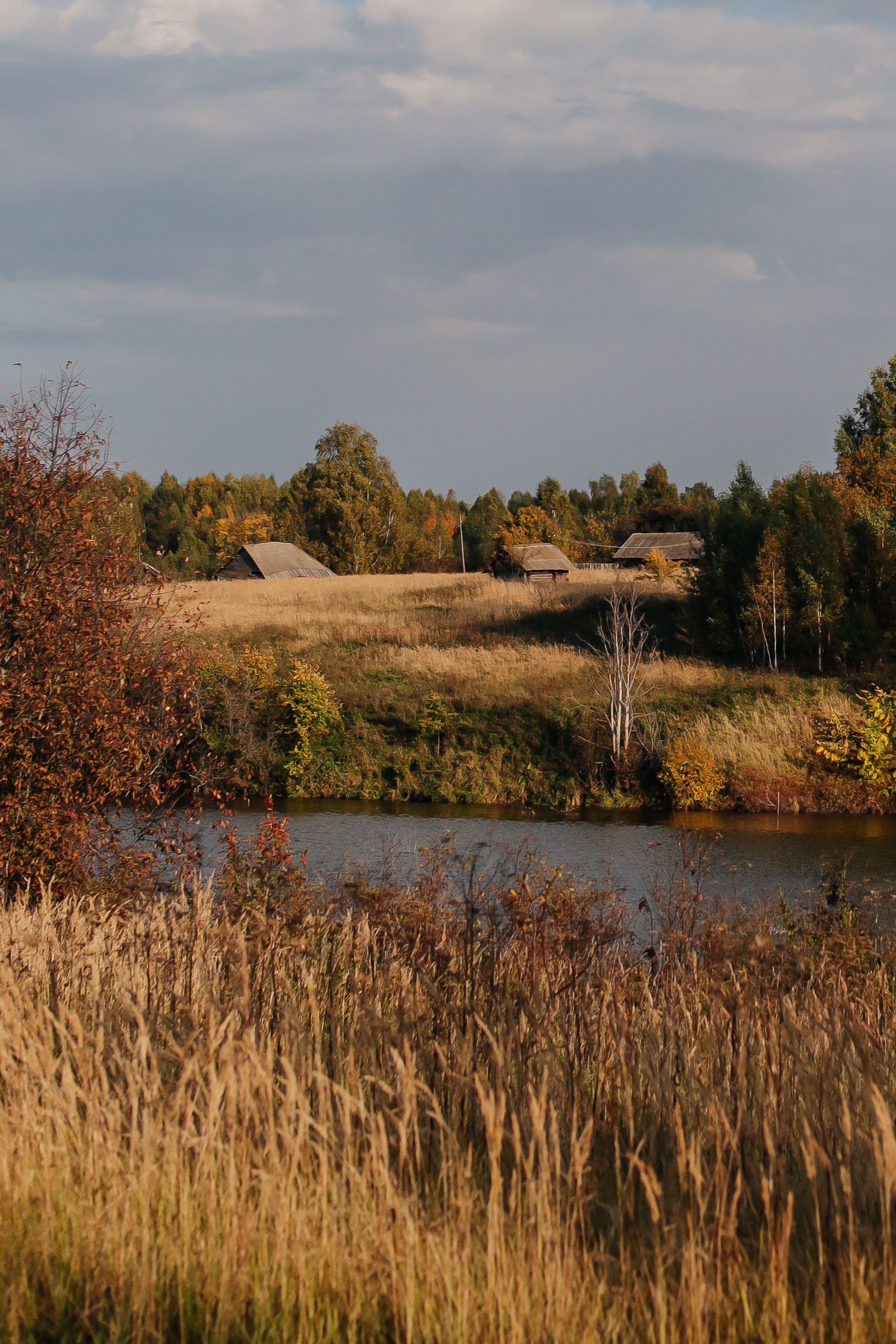 Tranquil Countryside Landscape in Autumn · Free Stock Photo