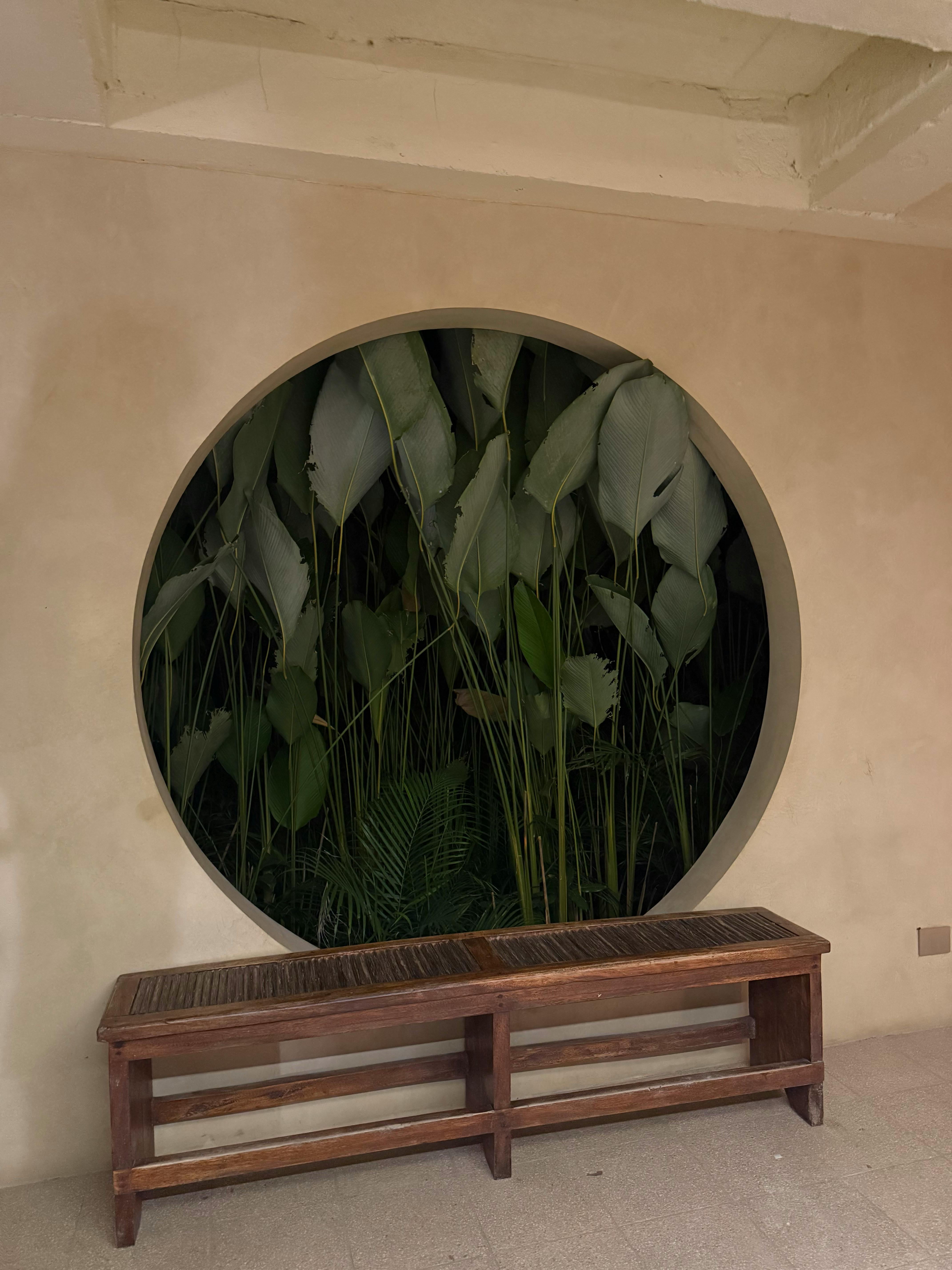 Wall Design Photos, Download The BEST Free Wall Design Stock Photos ...