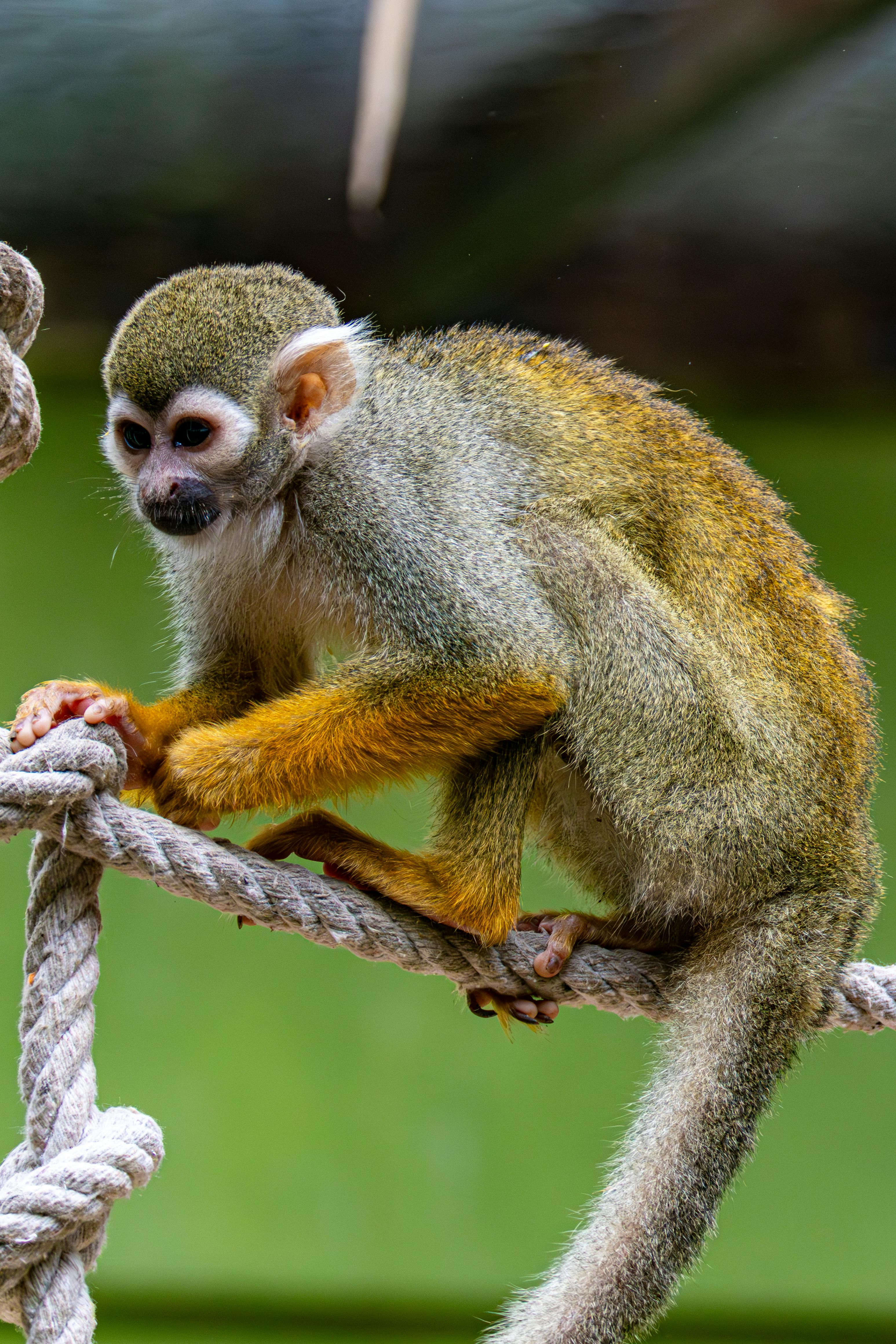 Amazon Photos, Download The BEST Free Amazon Stock Photos & HD Images