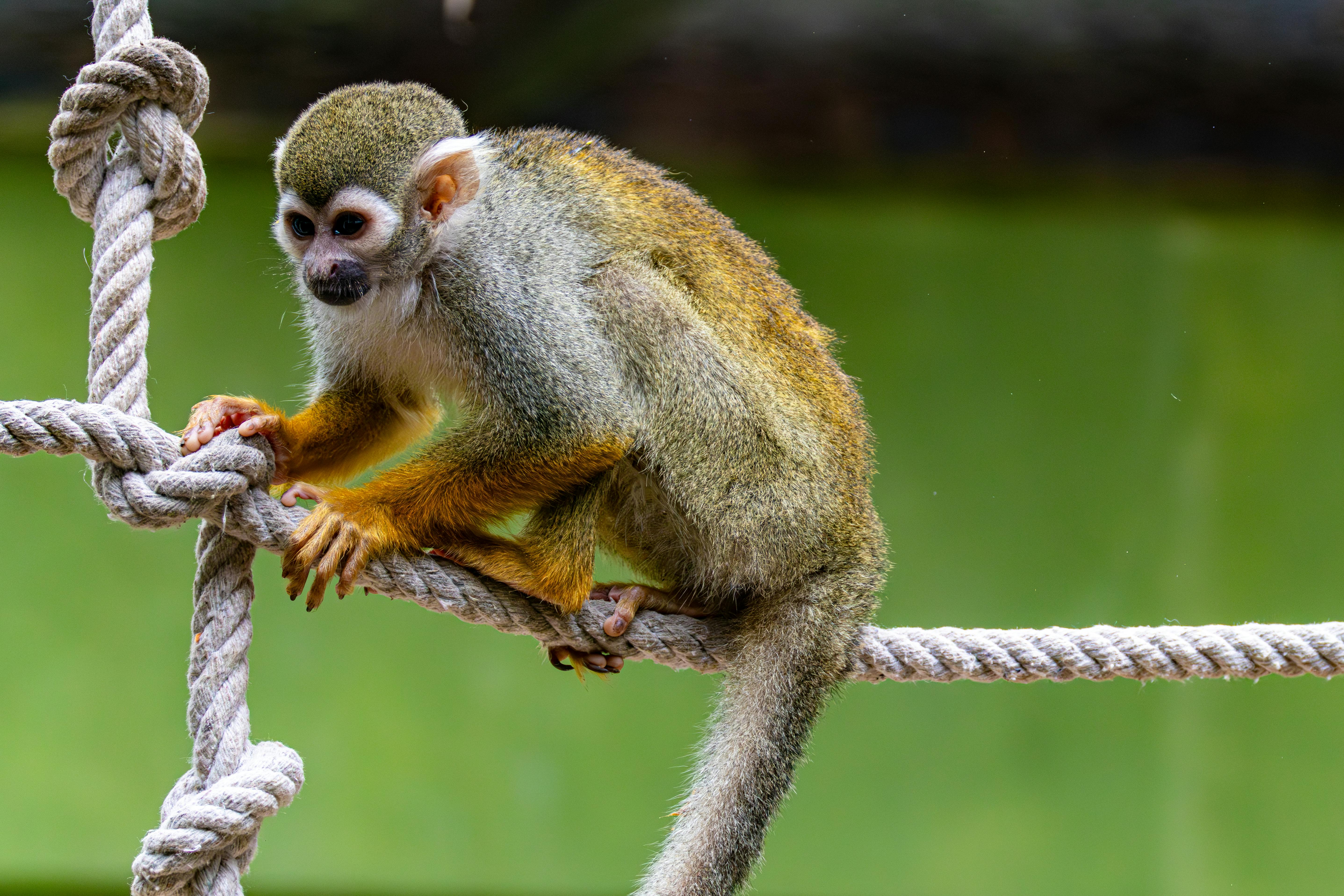 Amazon Photos, Download The BEST Free Amazon Stock Photos & HD Images