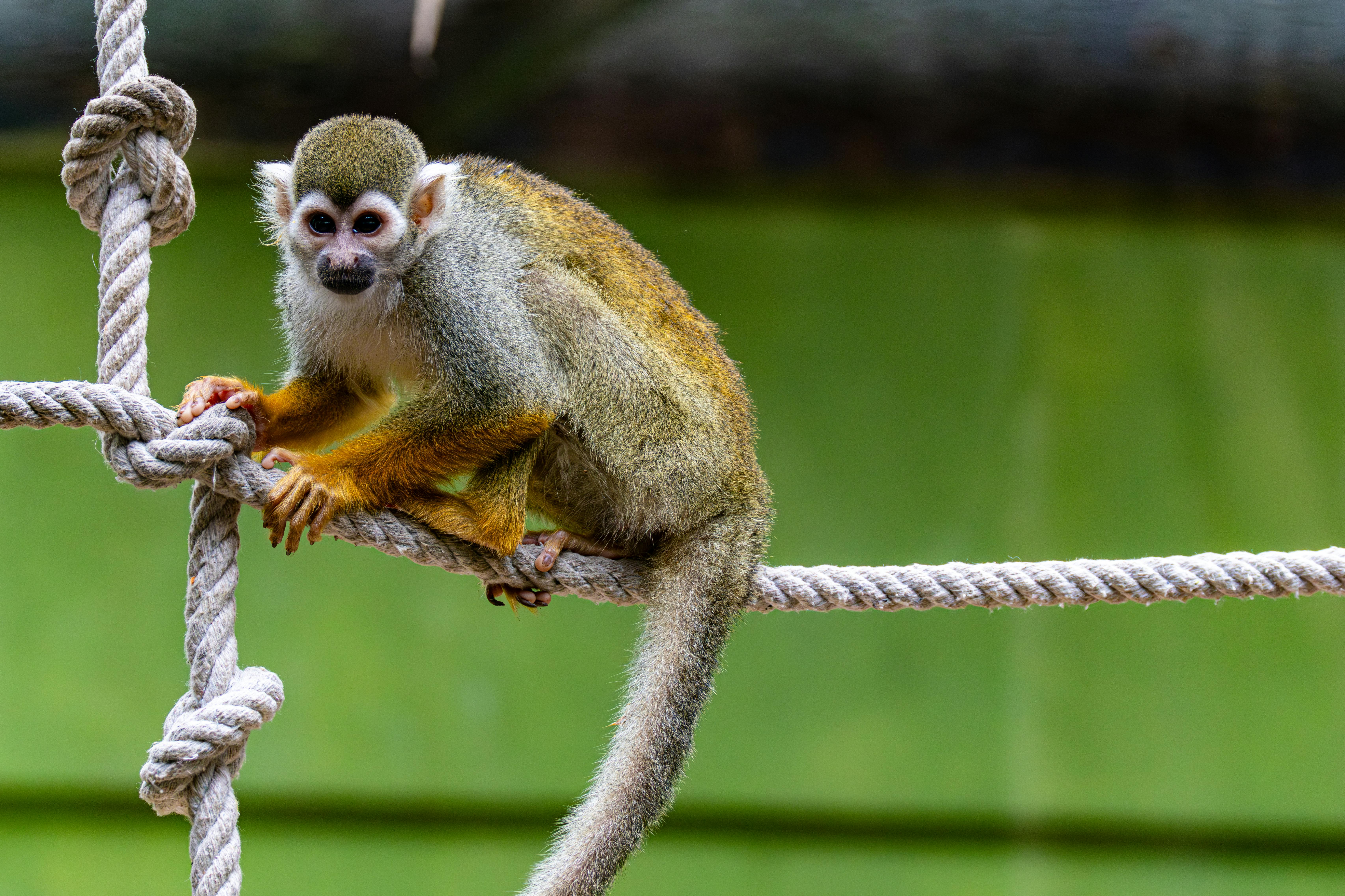 Amazon Photos, Download The BEST Free Amazon Stock Photos & HD Images