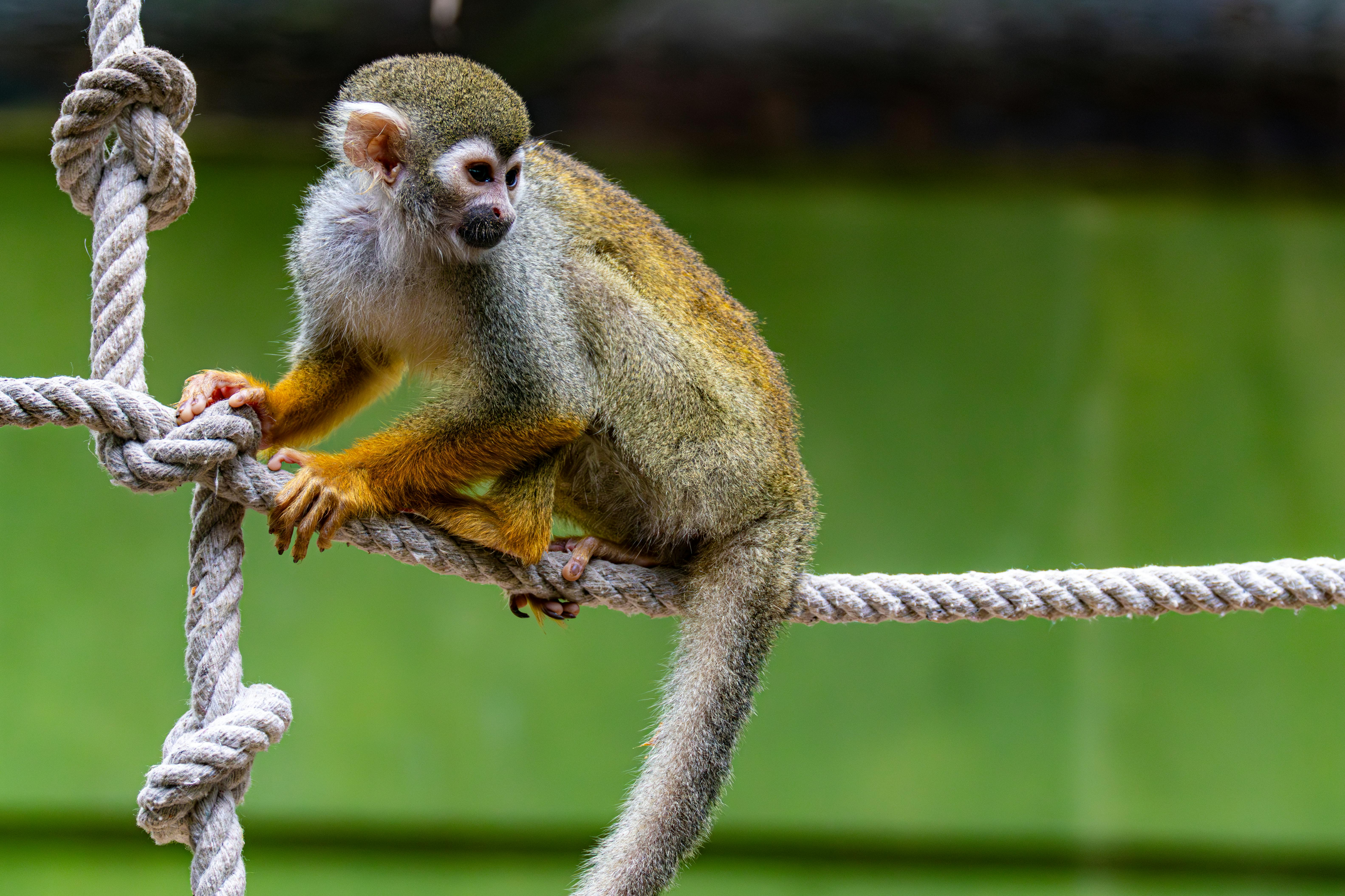 Amazon Photos, Download The BEST Free Amazon Stock Photos & HD Images