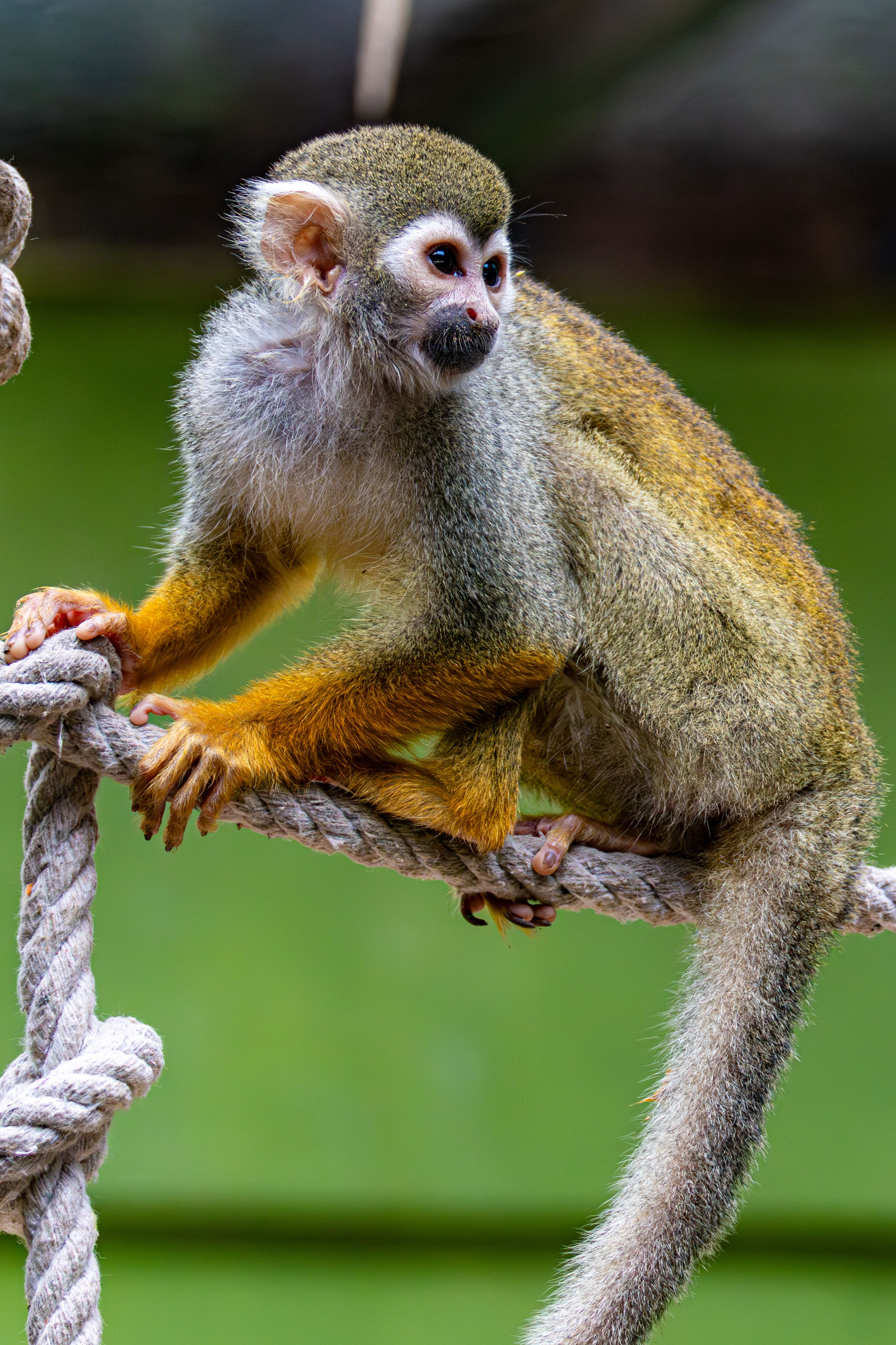 High Quality Photos, Download The BEST Free High Quality Stock Photos ...