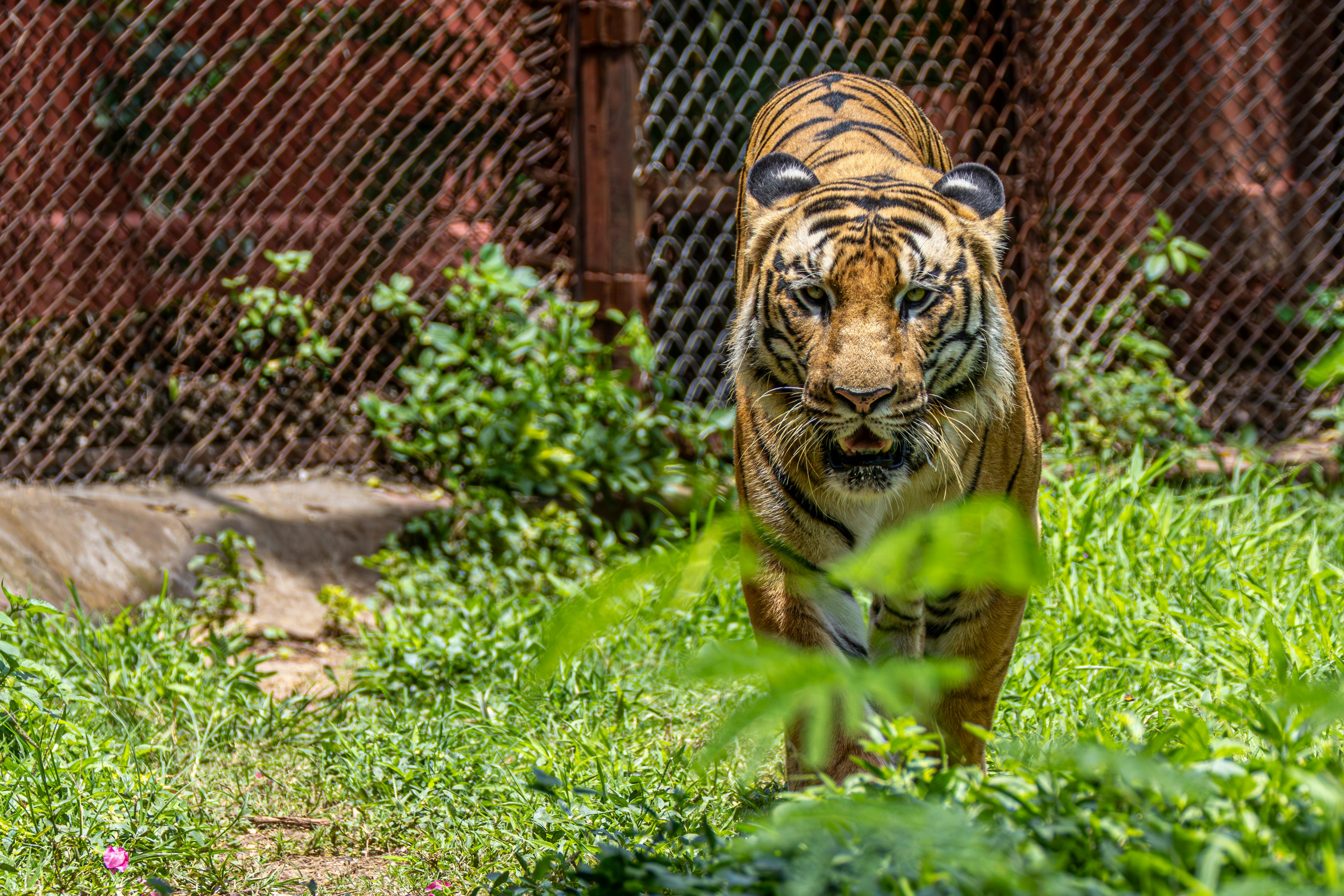 Cristiano Ronaldo Face Photos, Download The BEST Free Cristiano Ronaldo ...