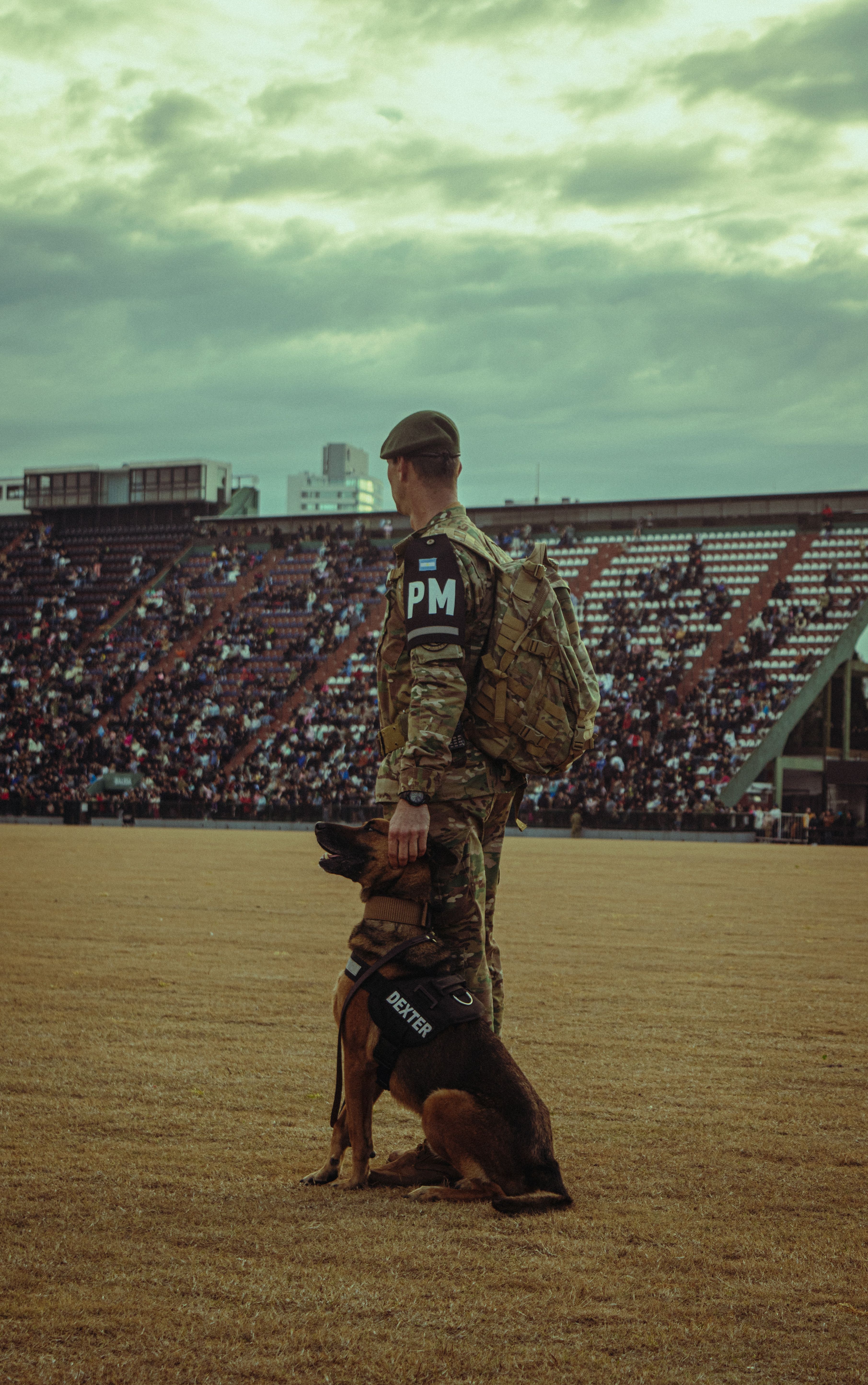 Military Dog Handler in Stadium with Crowd · Free Stock Photo