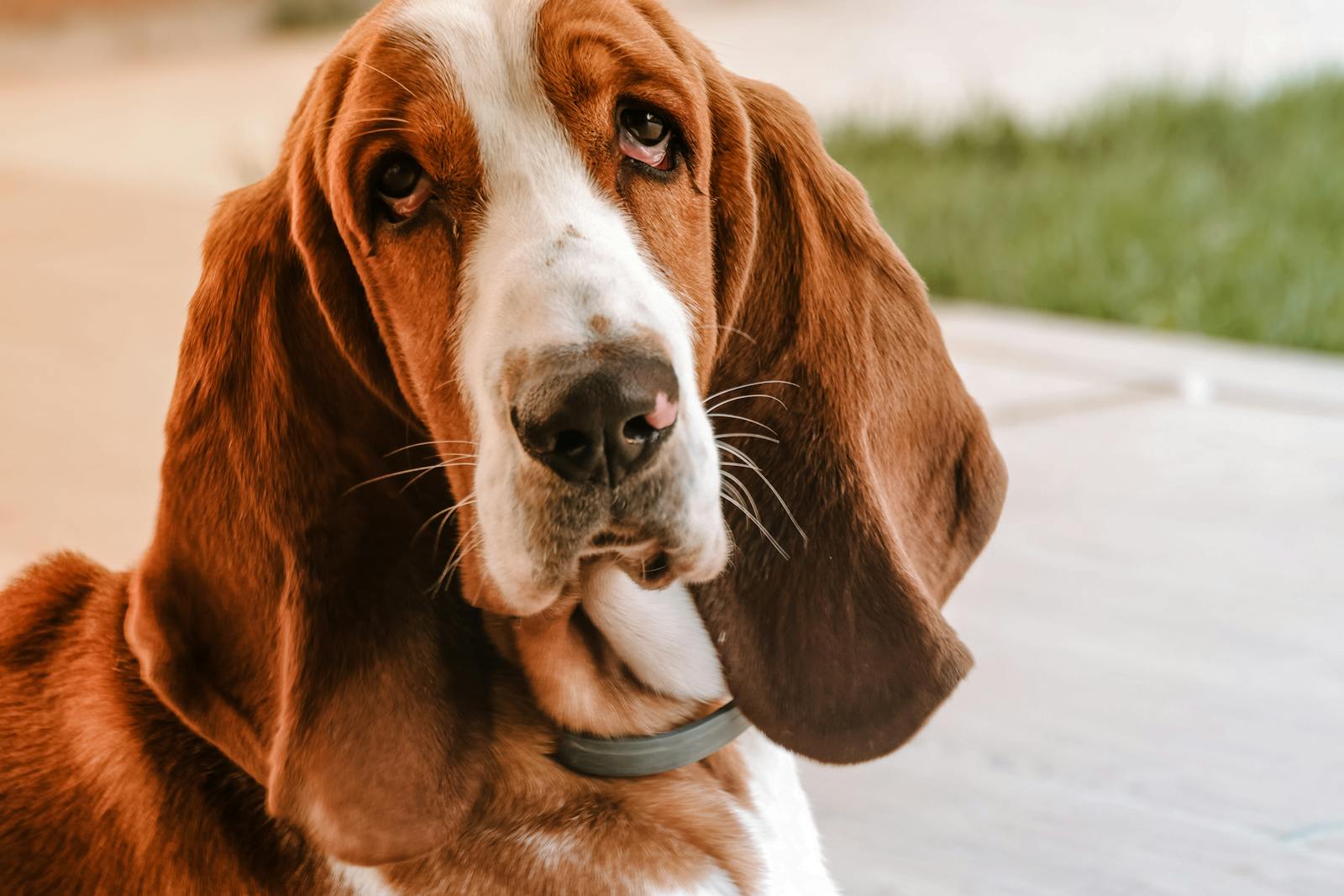 Best+Cleavage+Gif Photos, Download The BEST Free Best+Cleavage+Gif ...