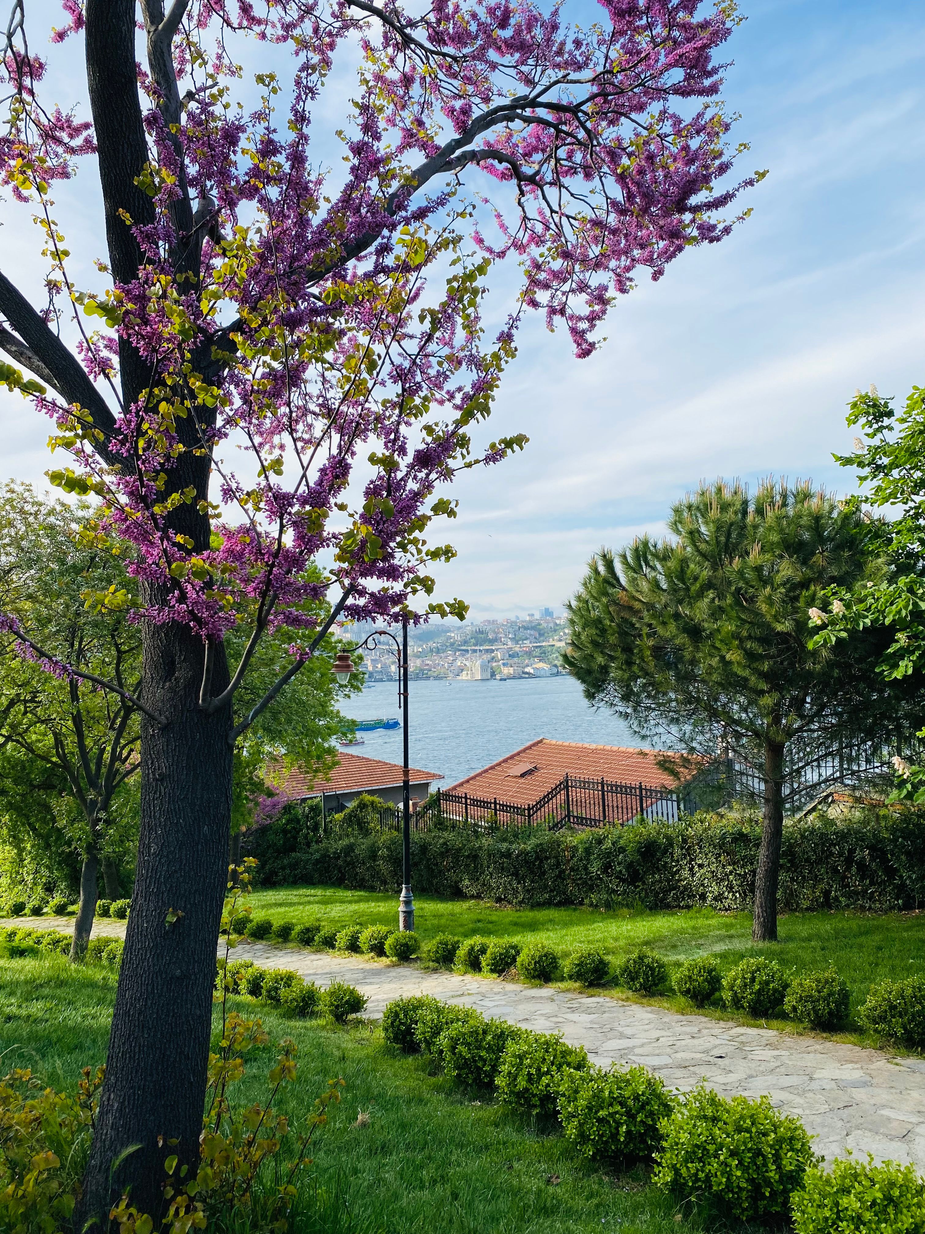 Spring Scenery Overlooking a Serene Lake · Free Stock Photo