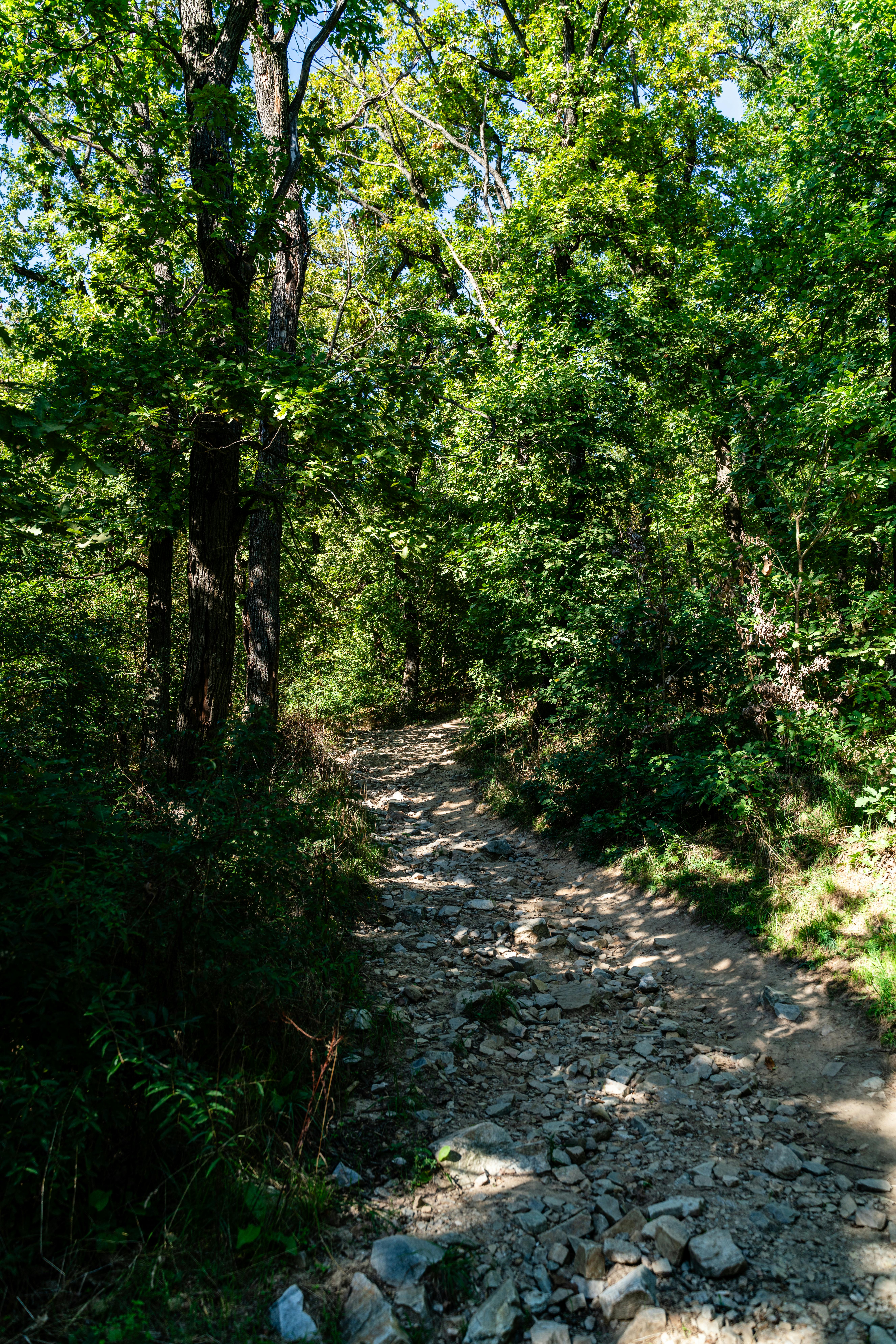 Ladki+Ladki+Log+Ka+Wallpaper Photos, Download The BEST Free Ladki+Ladki ...