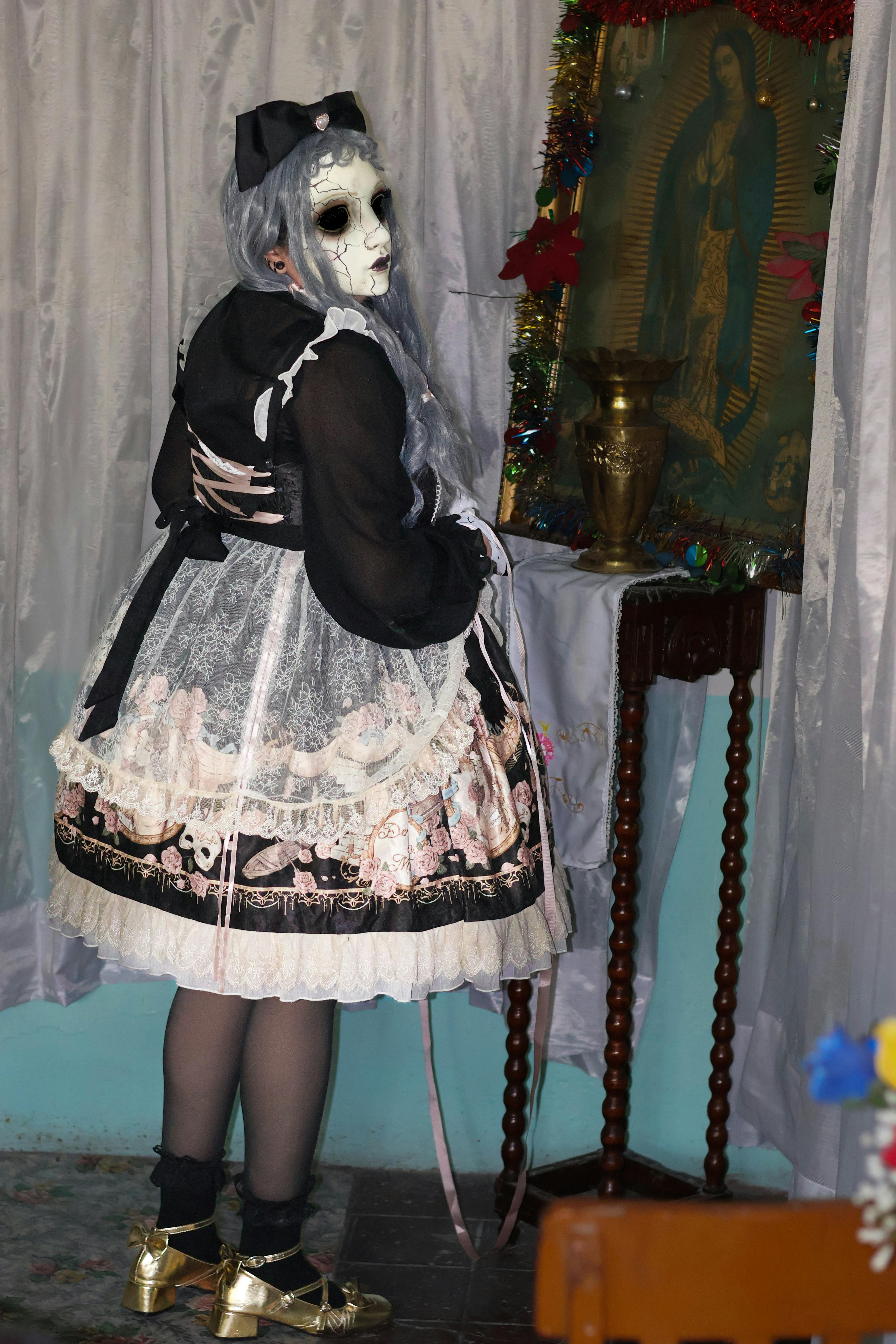 Bow Photos, Download The BEST Free Bow Stock Photos & HD Images