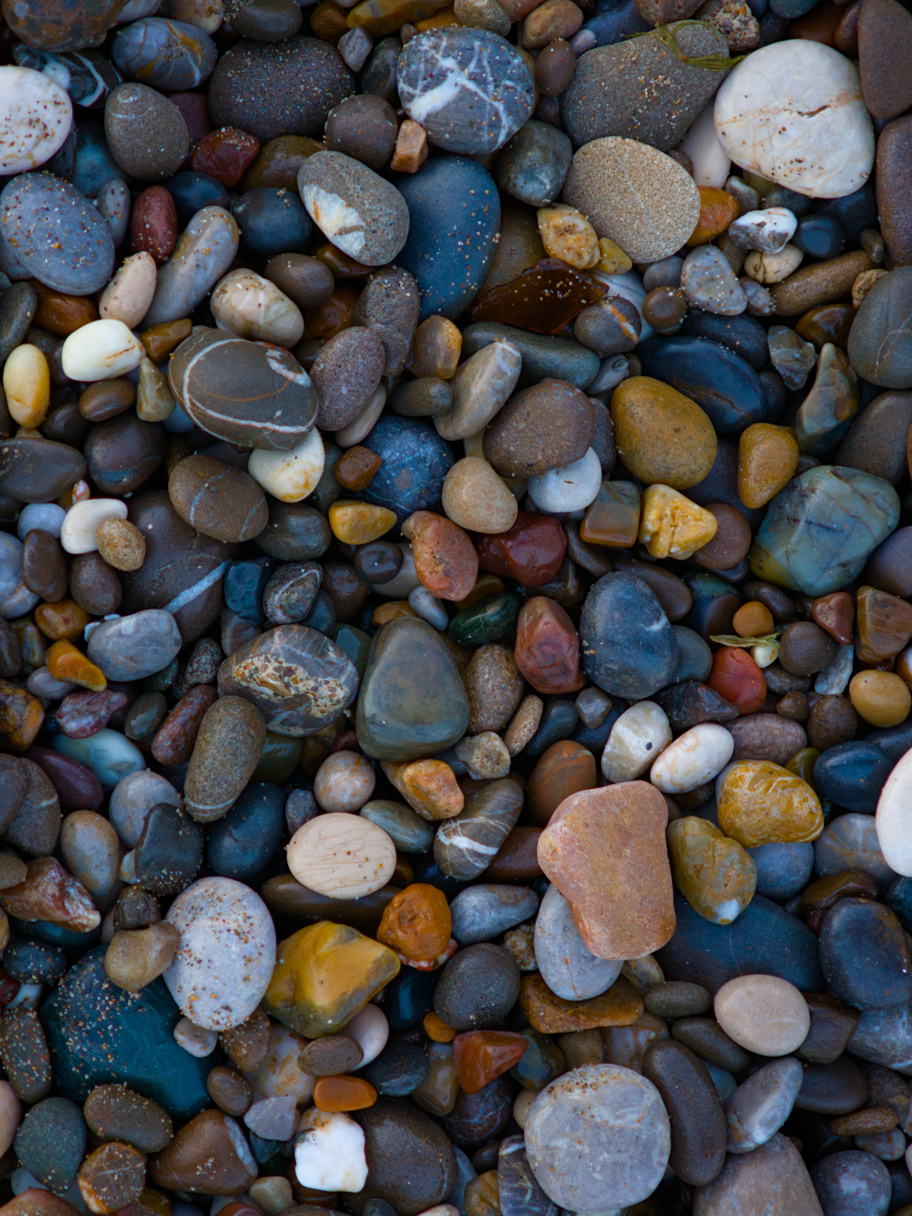 Vibrant Mixed Pebbles on a Beach Shoreline · Free Stock Photo