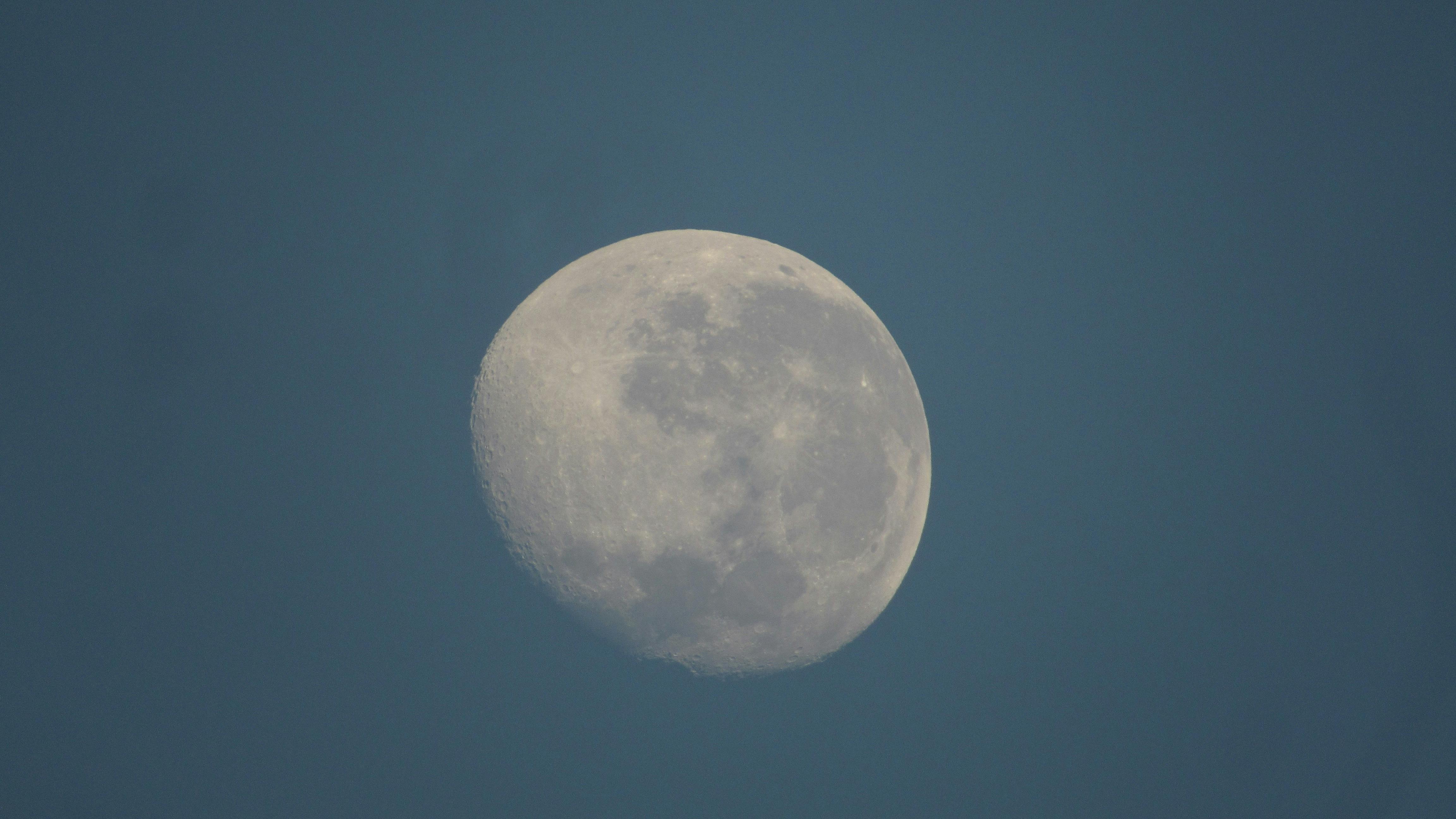 Jennifer+Harrison+Body Photos, Download The BEST Free Jennifer+Harrison ...