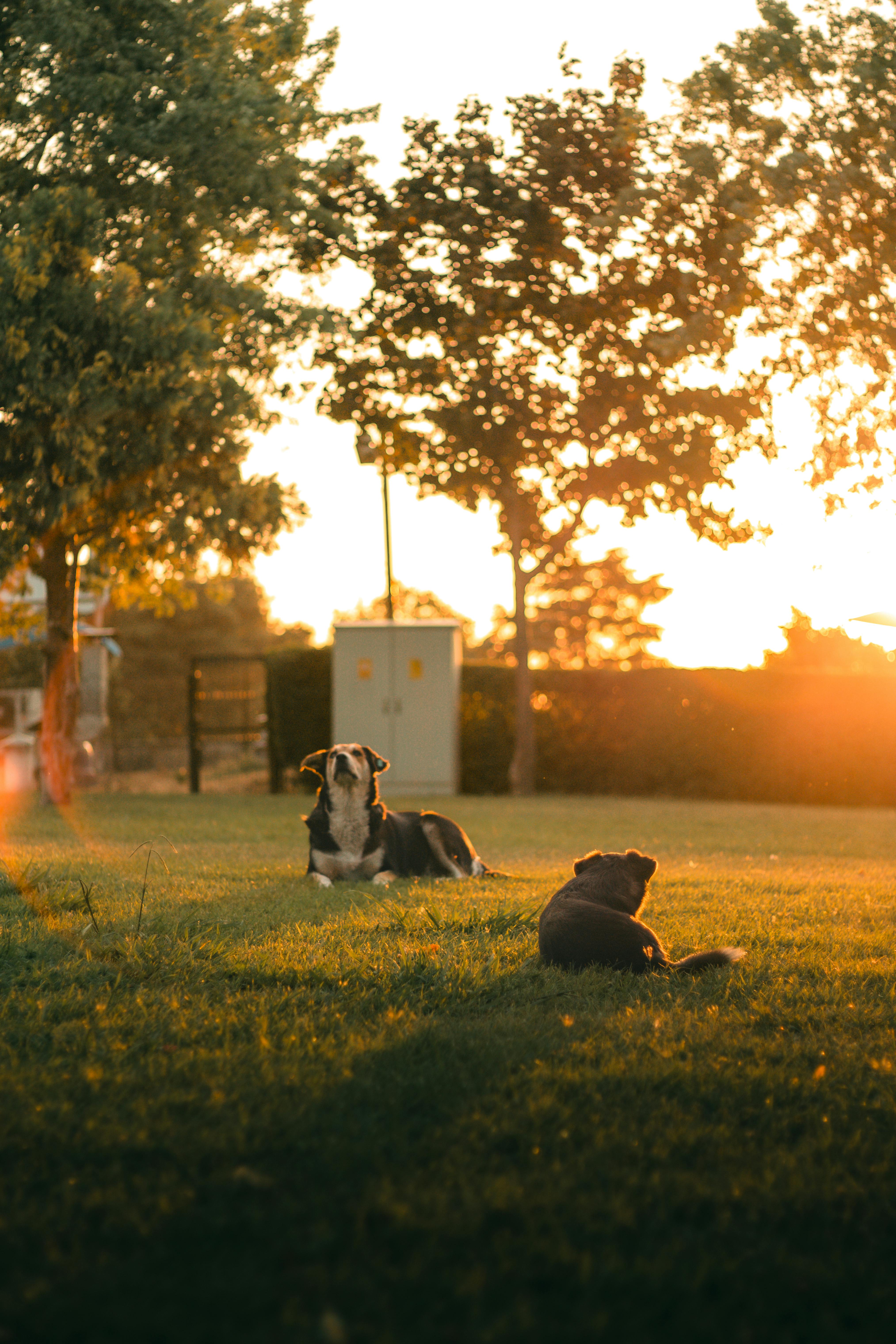 Turkey Country Photos, Download The BEST Free Turkey Country Stock ...