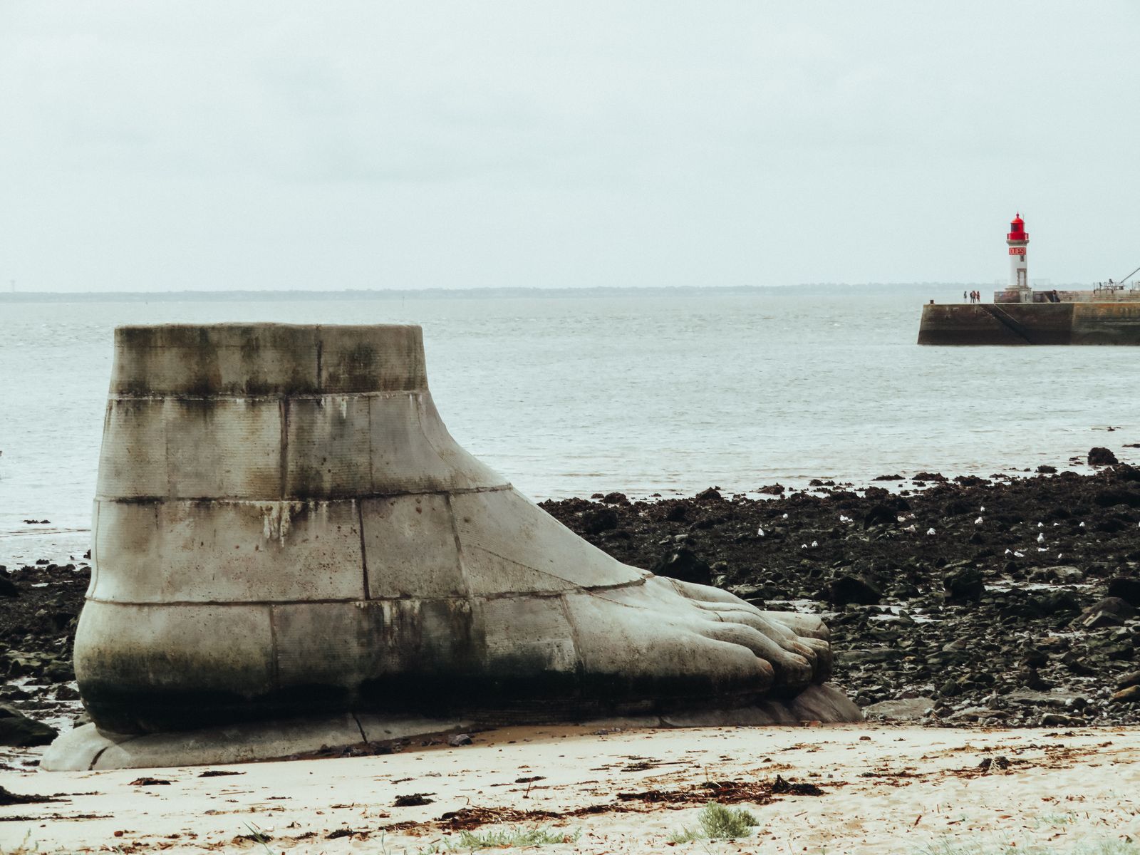 Giant Photos, Download The BEST Free Giant Stock Photos & HD Images