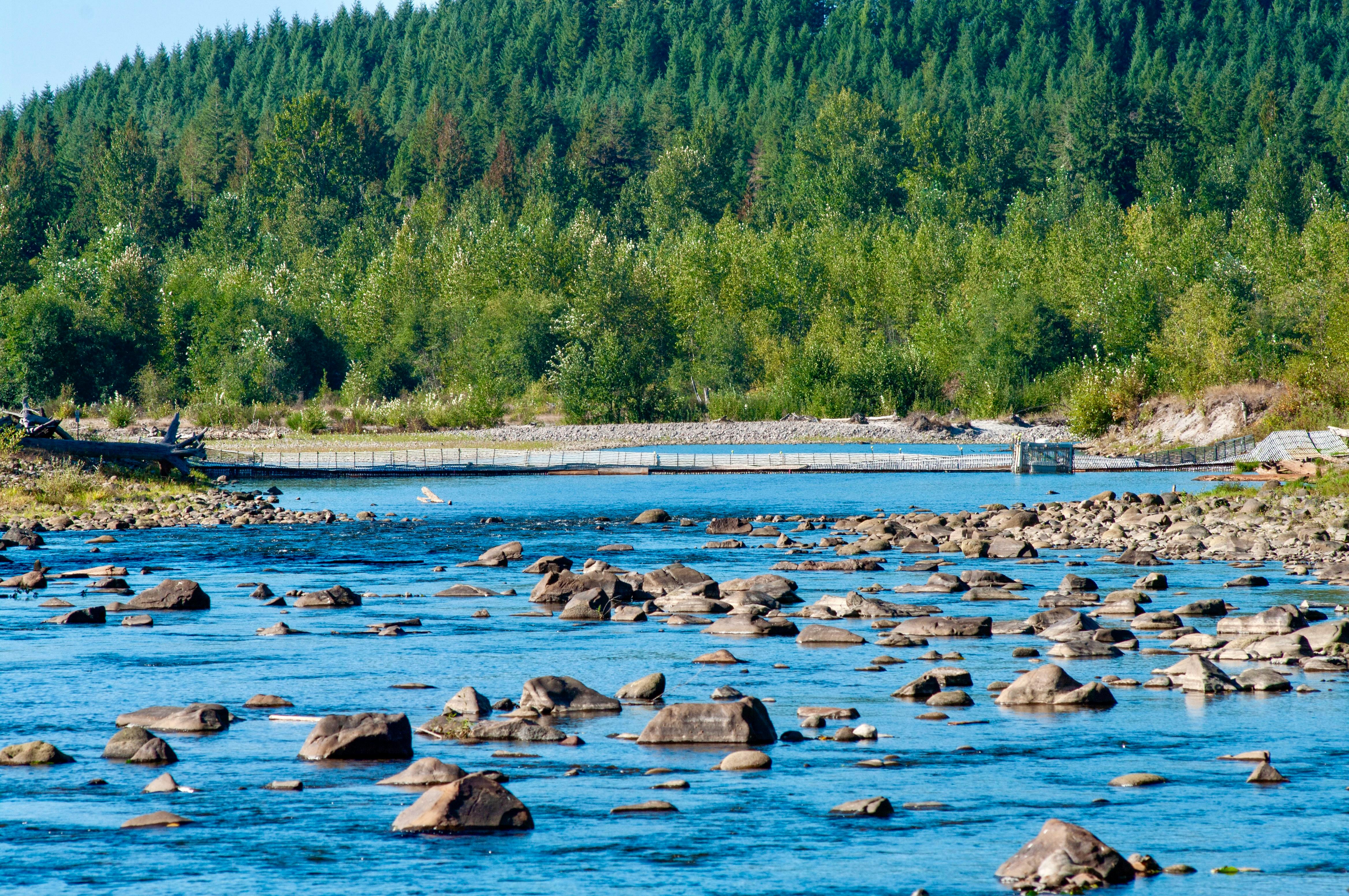 Clean Environment Photos, Download The BEST Free Clean Environment ...