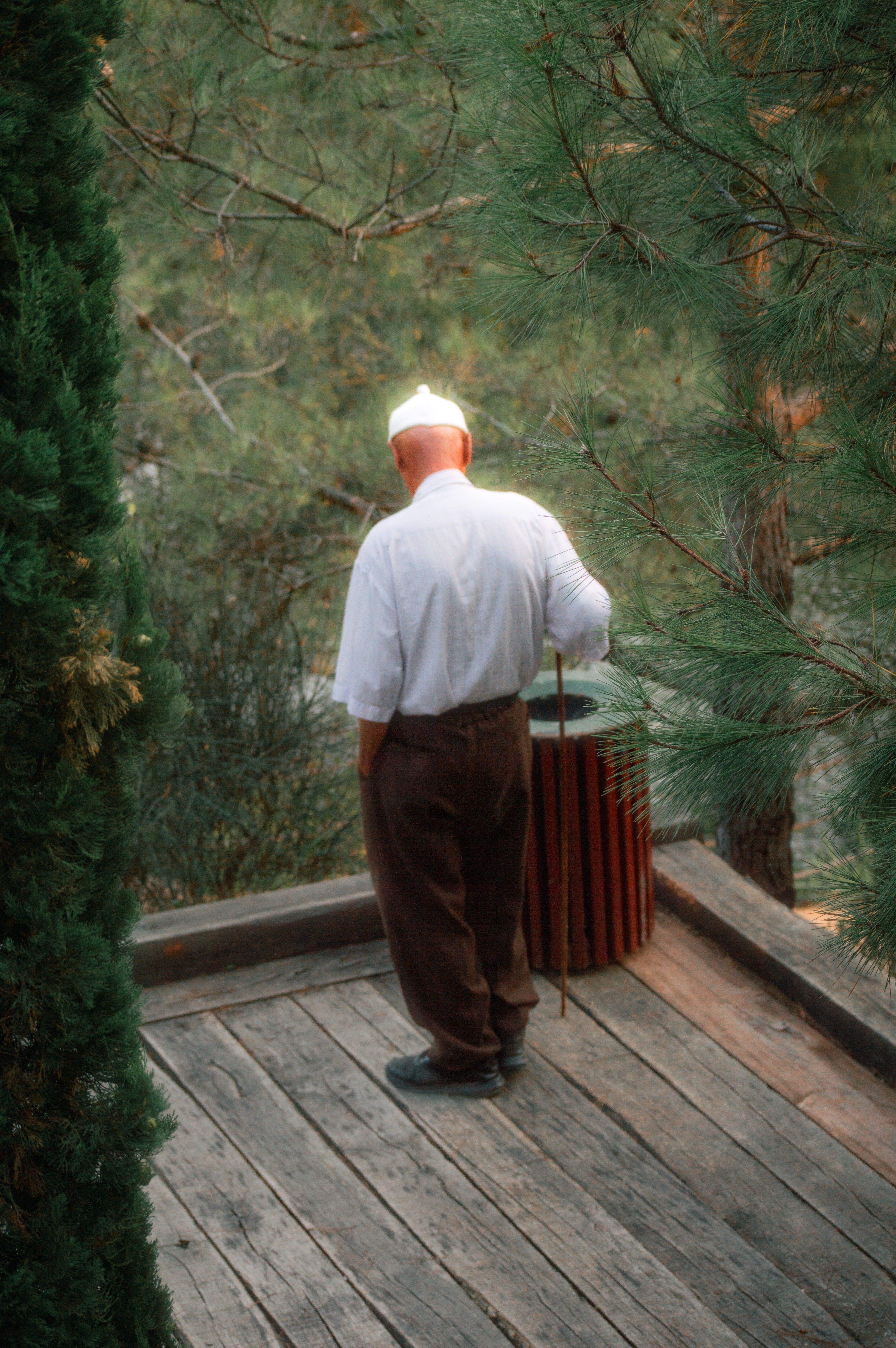 Retirement Photos, Download The BEST Free Retirement Stock Photos & HD ...