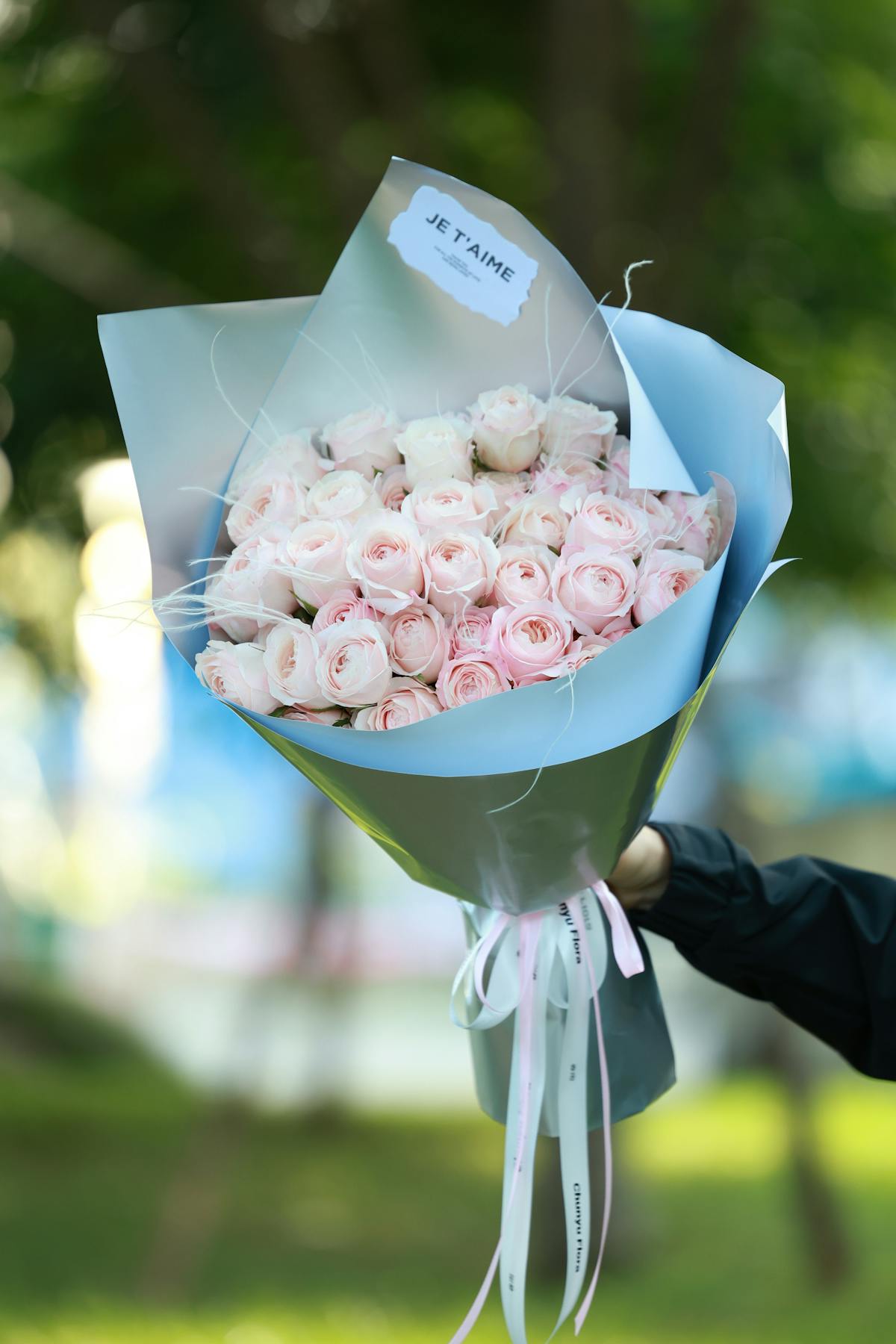 Hand. Photos, Download The BEST Free Hand. Stock Photos & HD Images