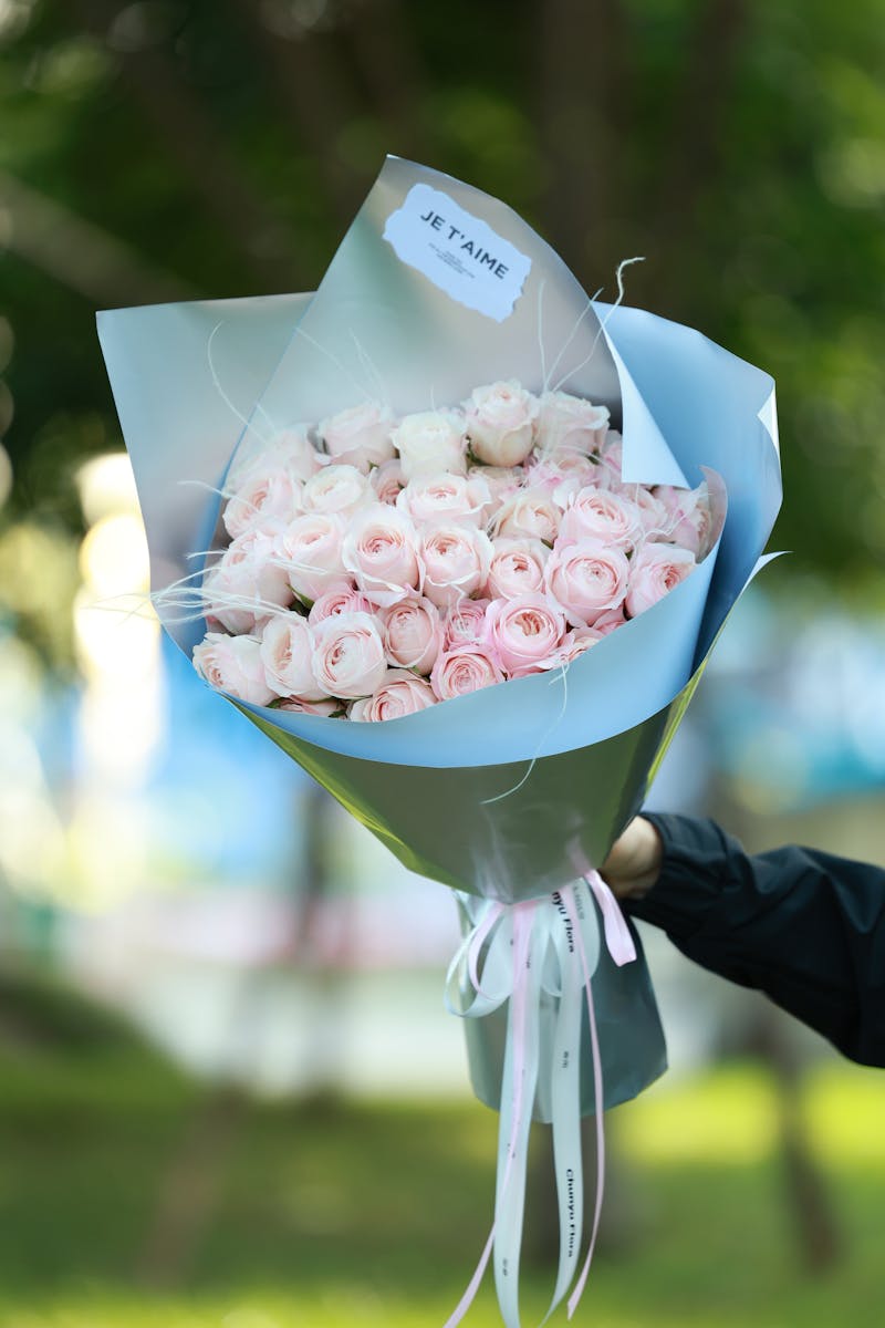 Hand. Photos, Download The BEST Free Hand. Stock Photos & HD Images