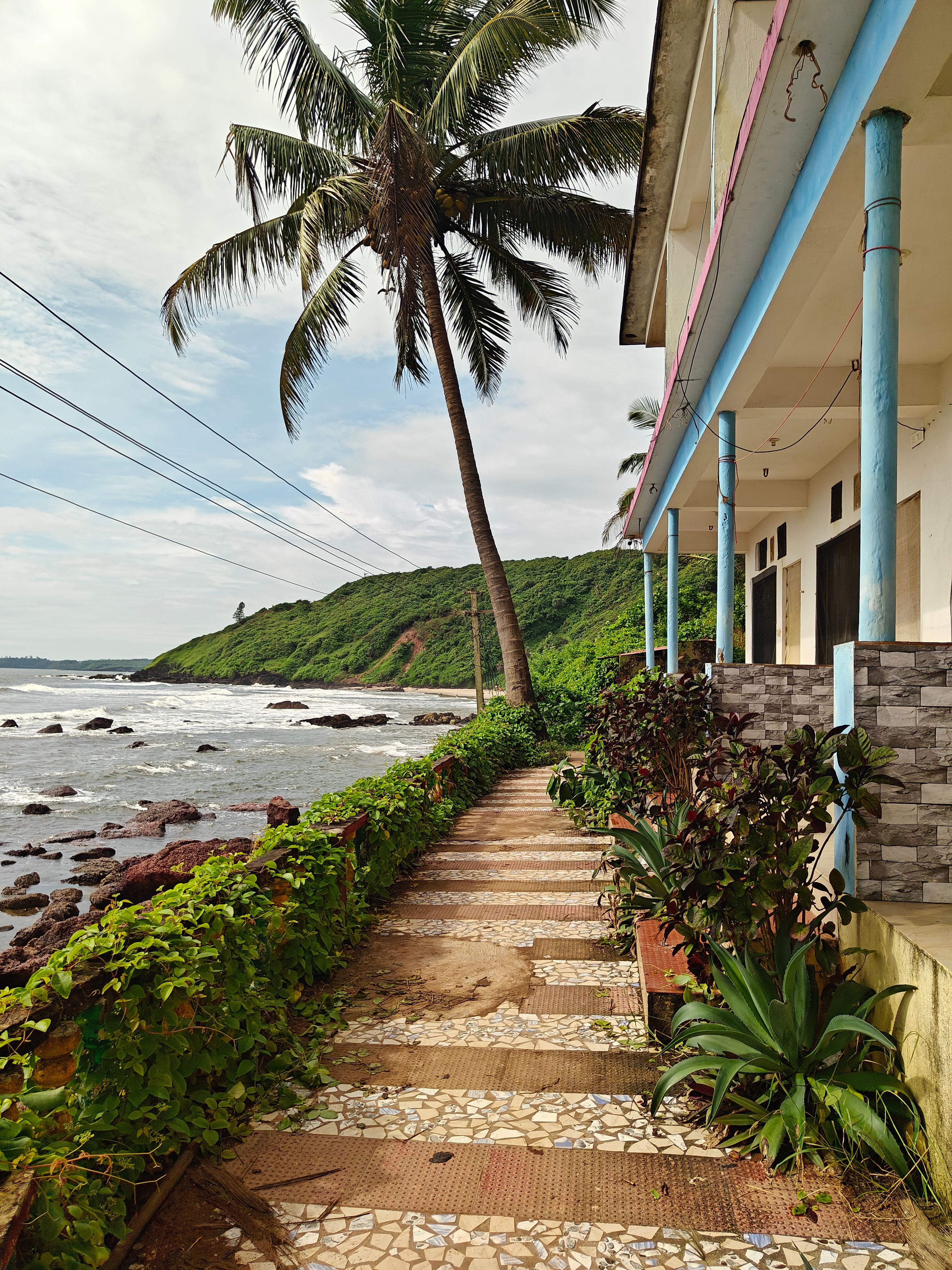Tropical Coastal Pathway with Ocean View · Free Stock Photo