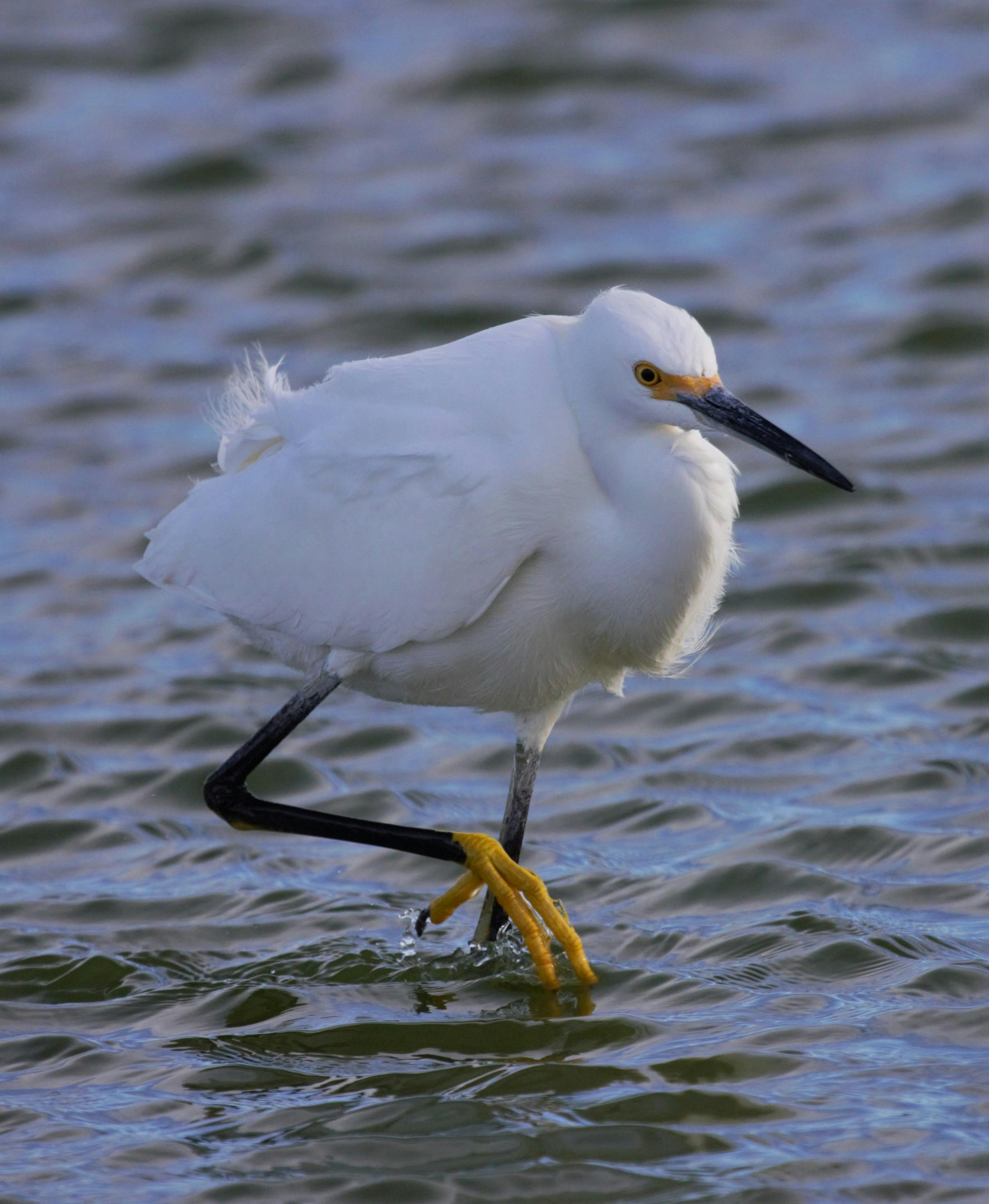 Fortnite+Feet+Pic Photos, Download The BEST Free Fortnite+Feet+Pic ...