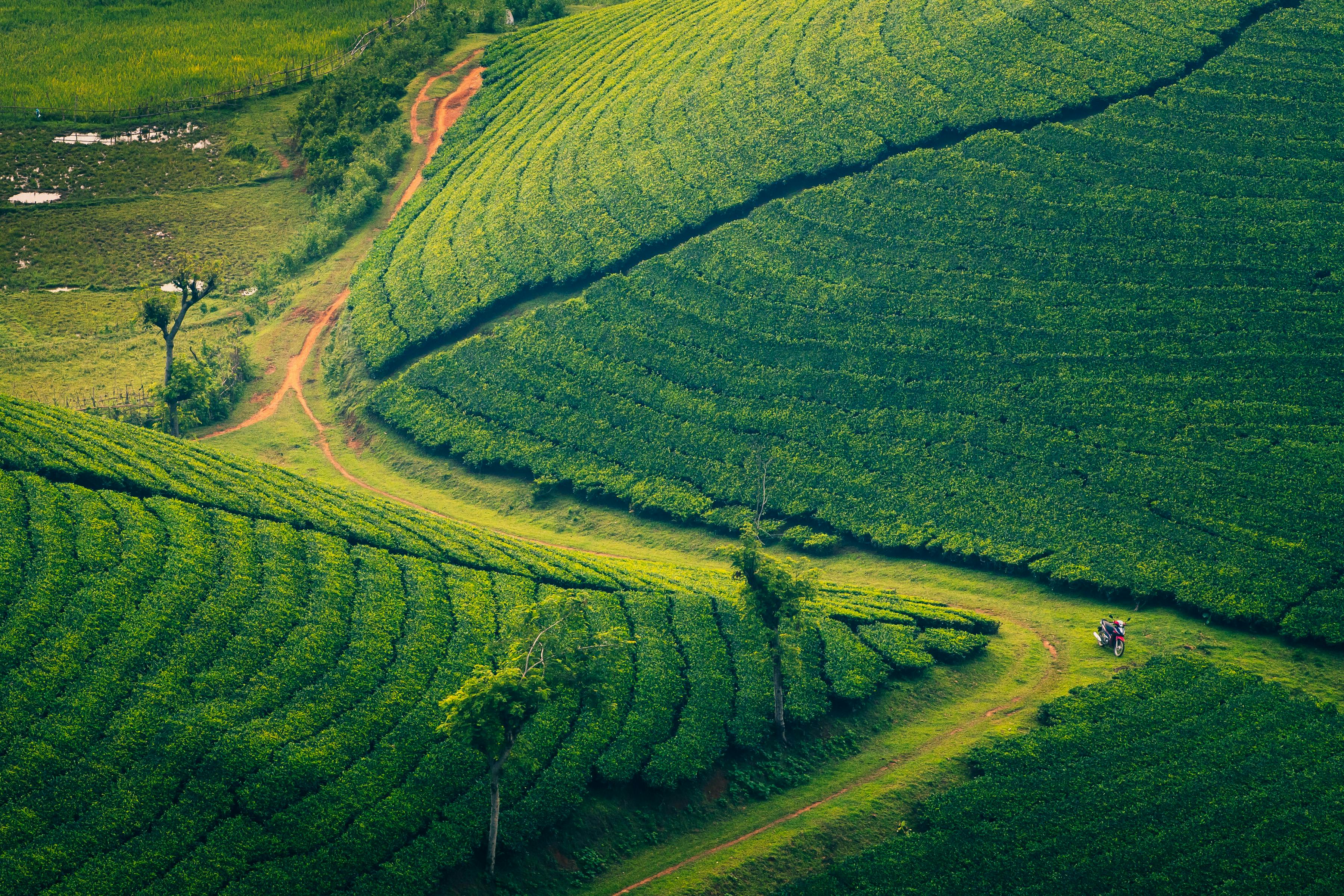 Terrace Farming Photos, Download The BEST Free Terrace Farming Stock ...