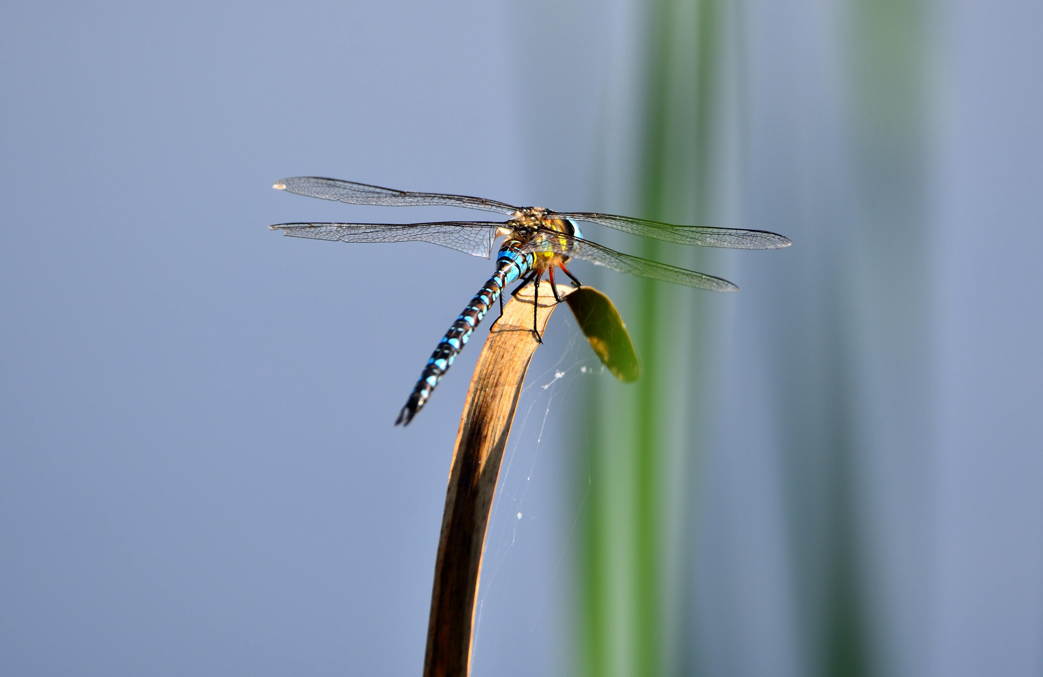 Free Screensavers Photos, Download The BEST Free Free Screensavers ...