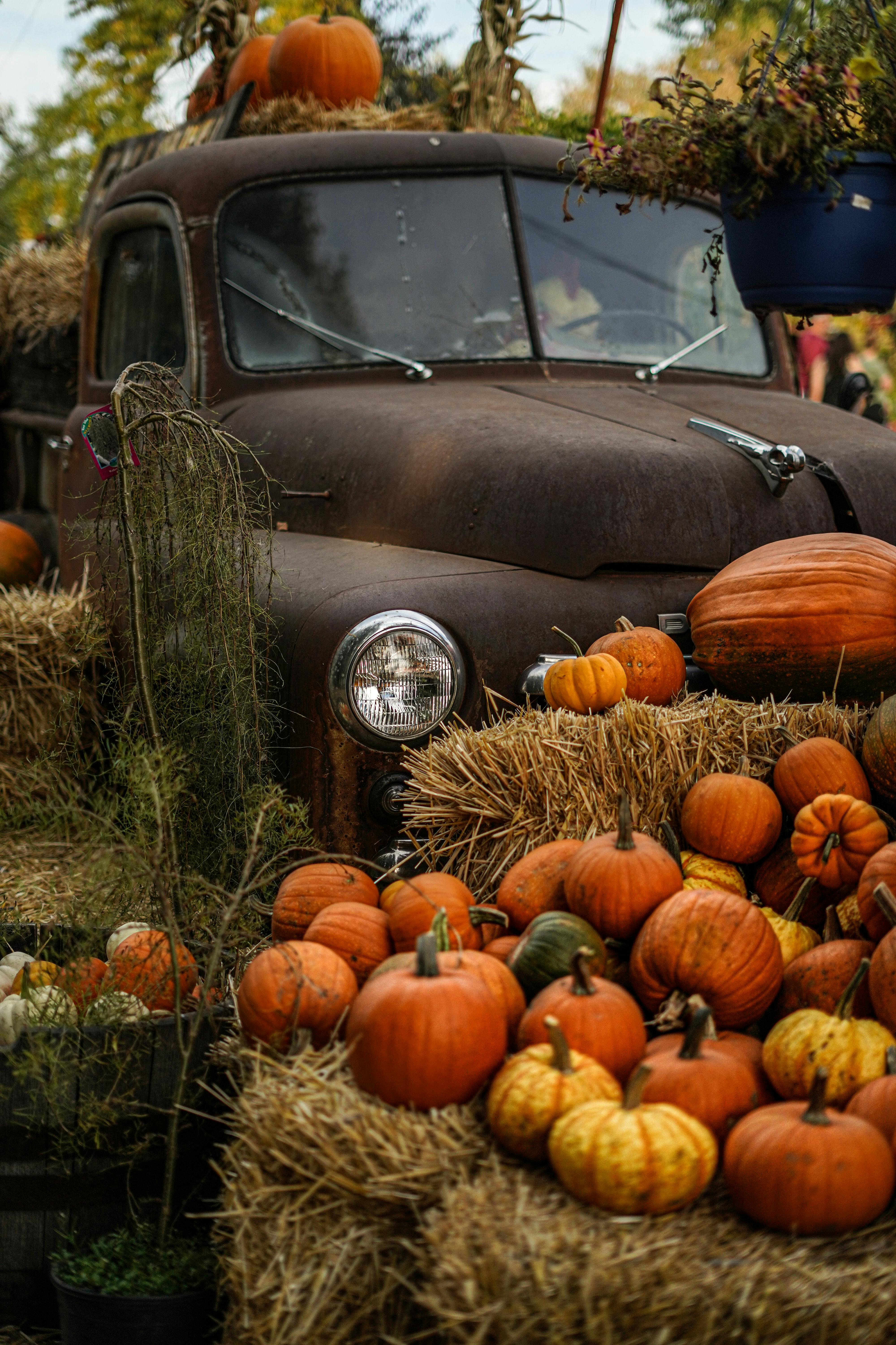 Fall Festival Photos, Download The BEST Free Fall Festival Stock Photos ...