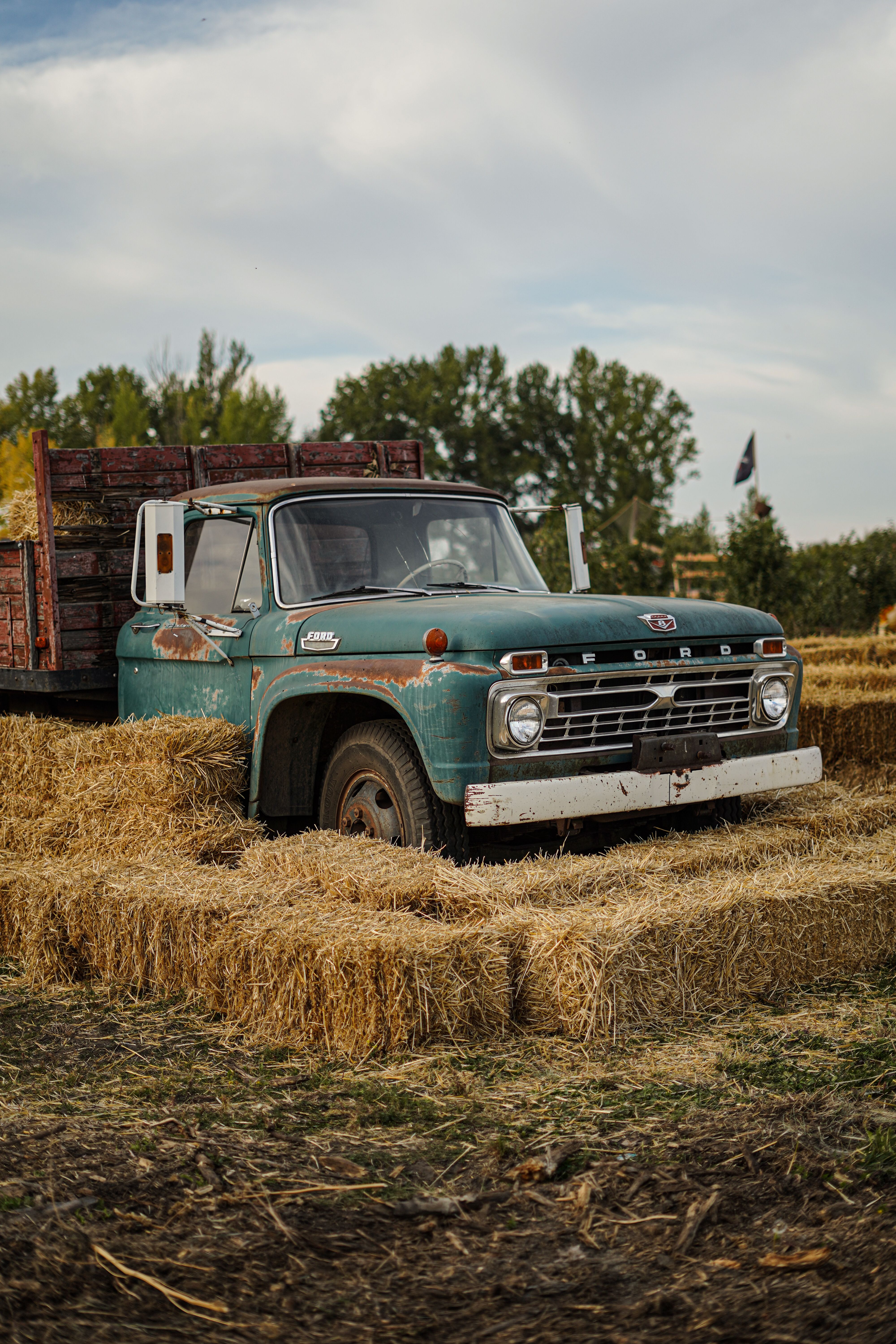 Vintage Truck in a Rustic Farm Setting · Free Stock Photo