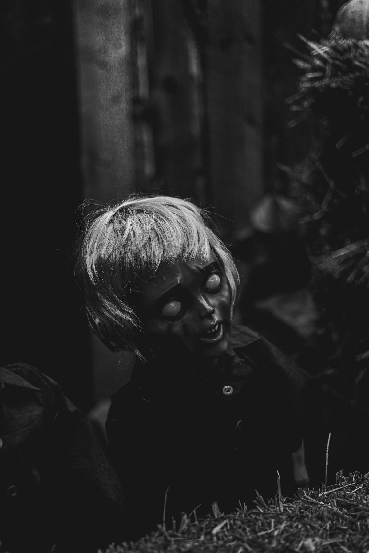 Creepy Photos, Download The BEST Free Creepy Stock Photos & HD Images