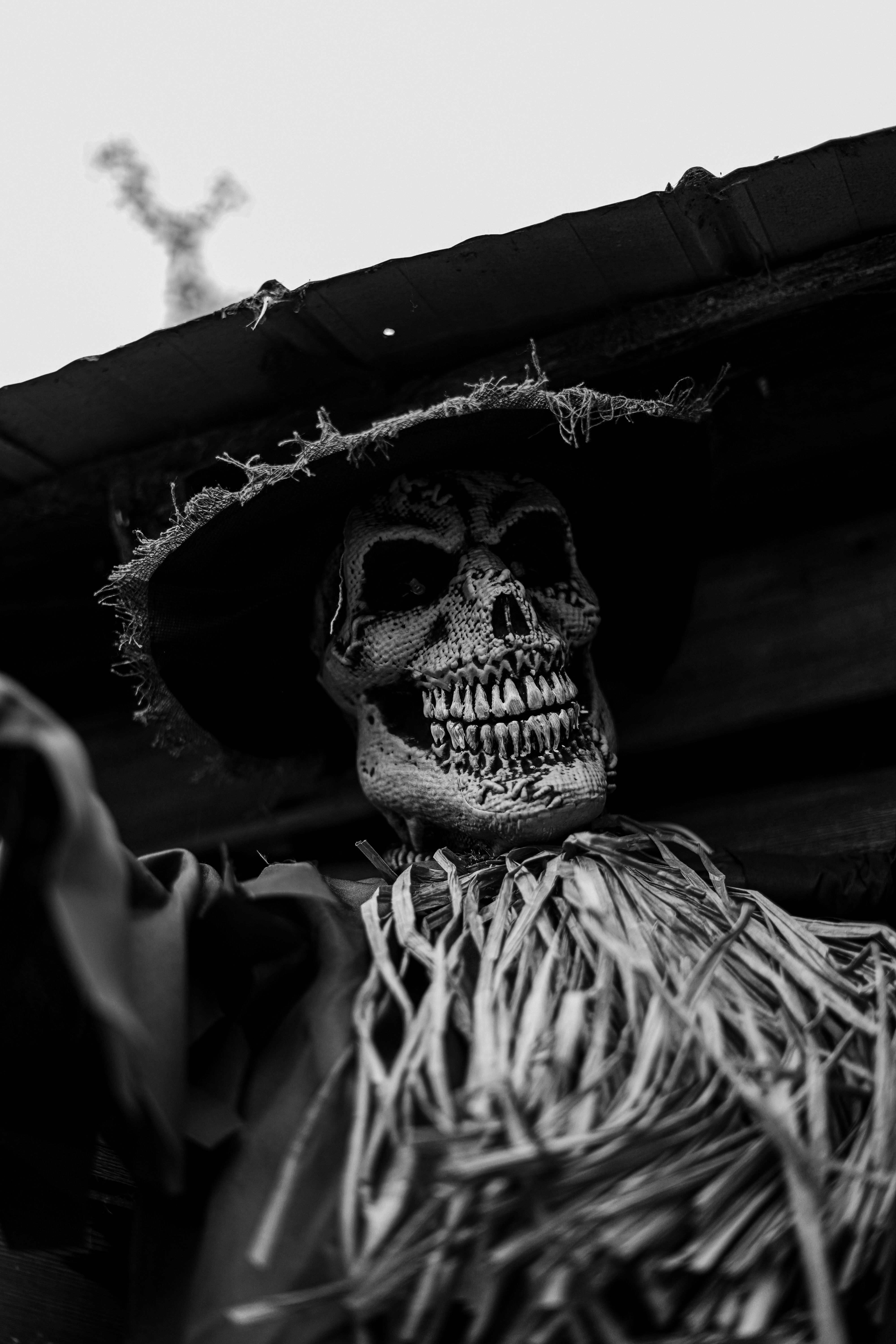 Spooky Scarecrow with Skull Mask in Black and White · Free Stock Photo