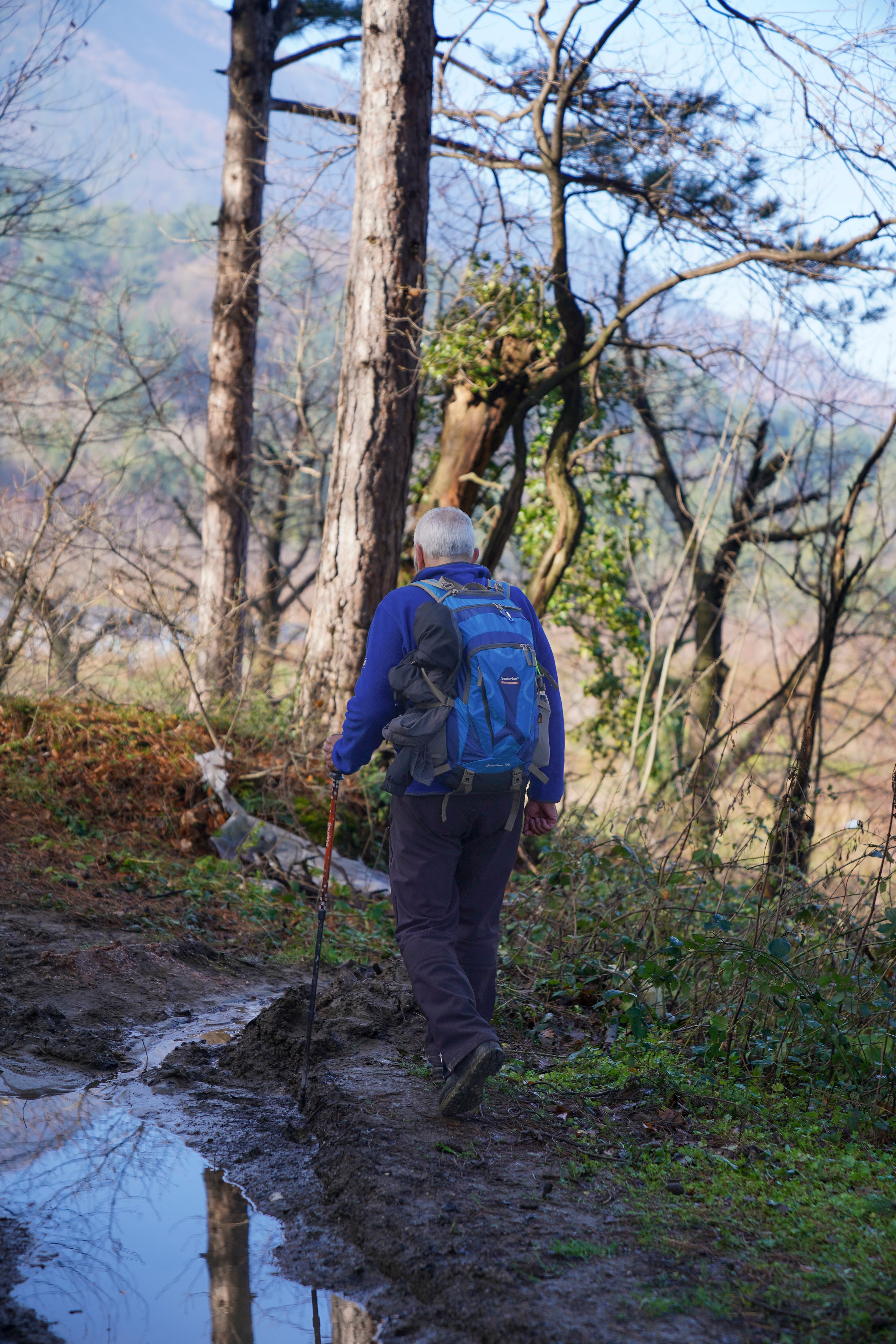 Elderly Man Hiking in Muddy Forest Trail in Winter · Free Stock Photo