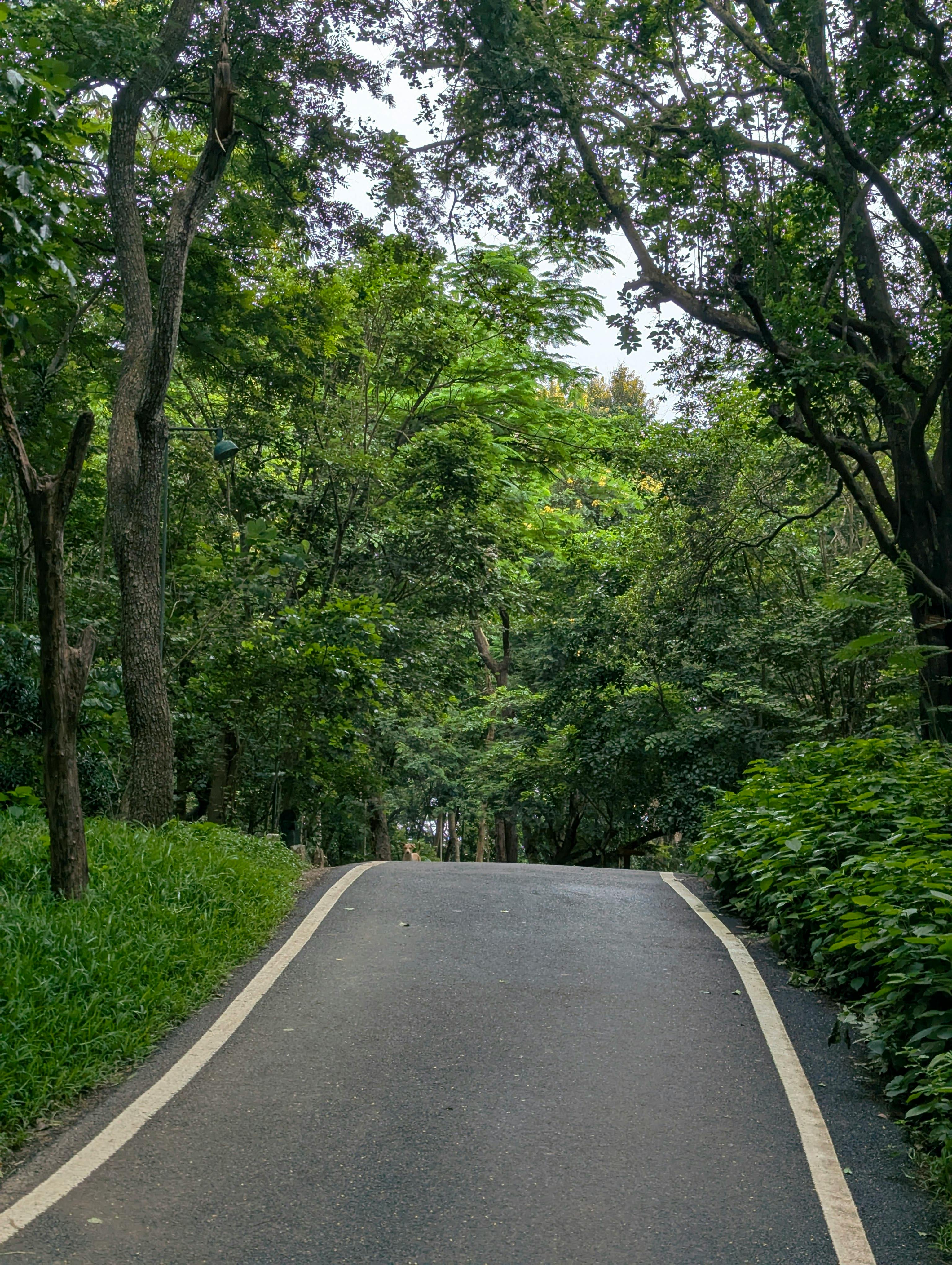 Ladki+Ladki+Log+Ka+Wallpaper Photos, Download The BEST Free Ladki+Ladki ...