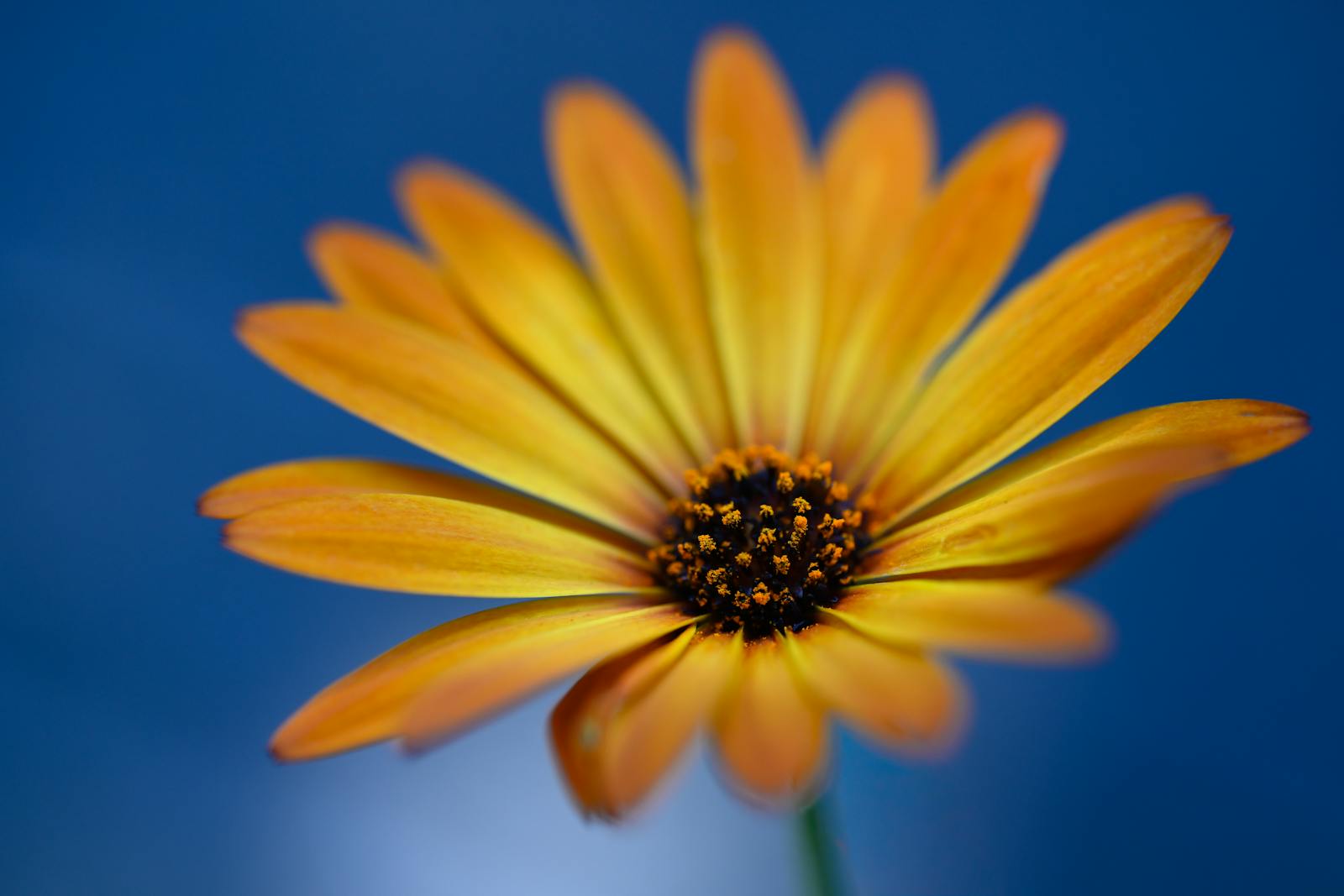 Tmx+Xbox+Wallpaper Photos, Download The BEST Free Tmx+Xbox+Wallpaper ...