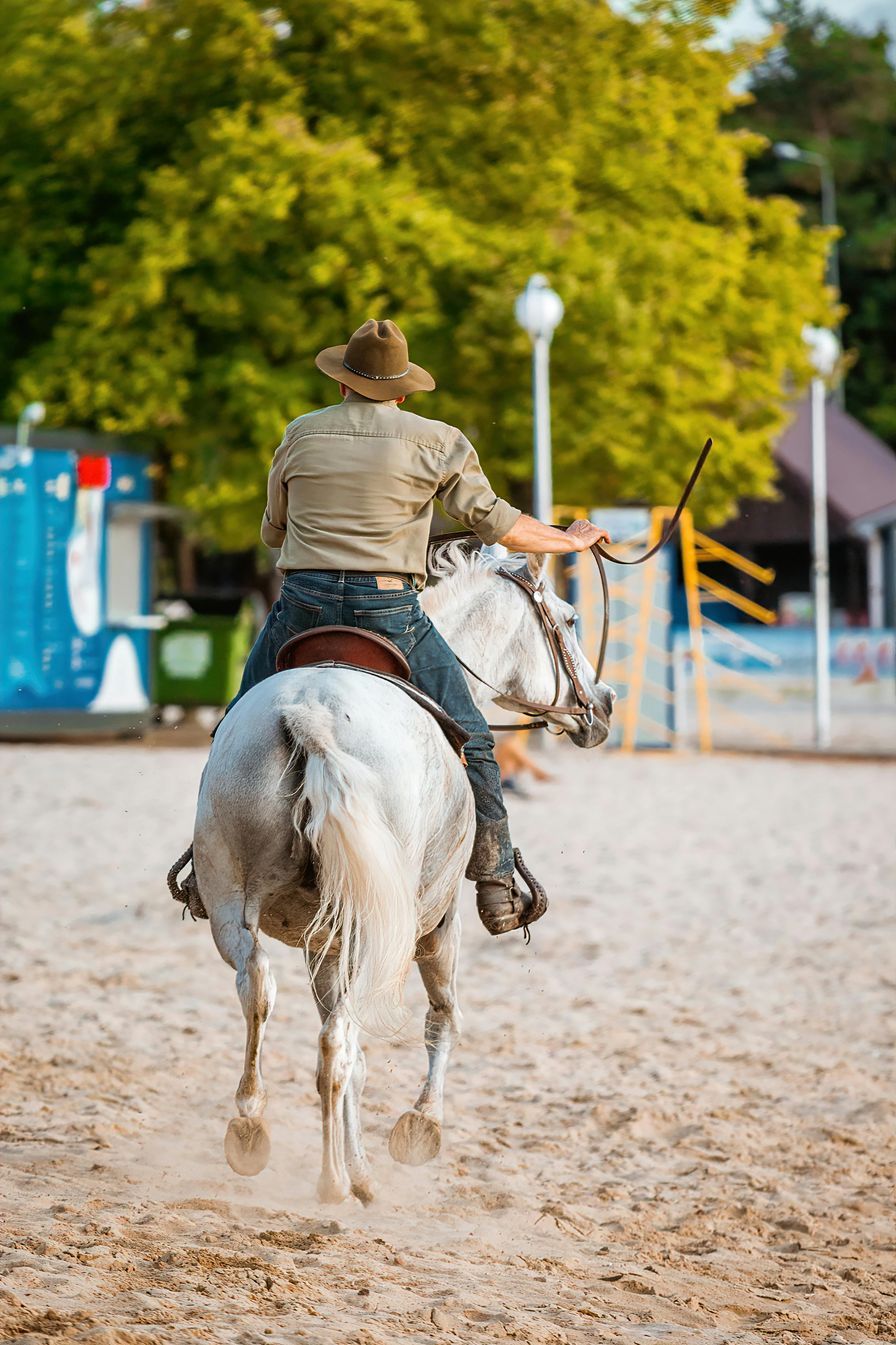 Shirtless Cowboy Photos, Download The BEST Free Shirtless Cowboy Stock ...