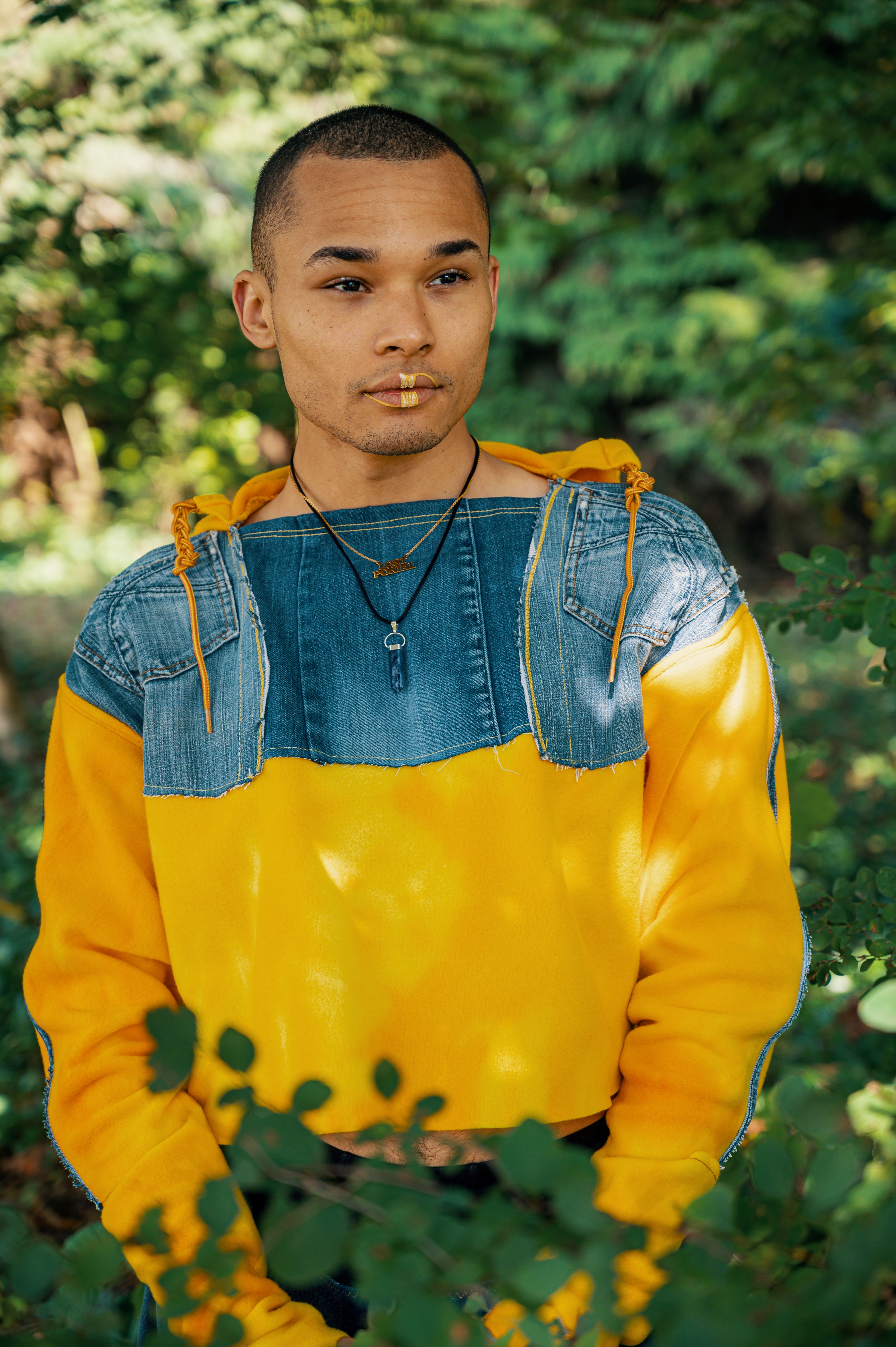 Man in Yellow and Blue Sweater · Free Stock Photo
