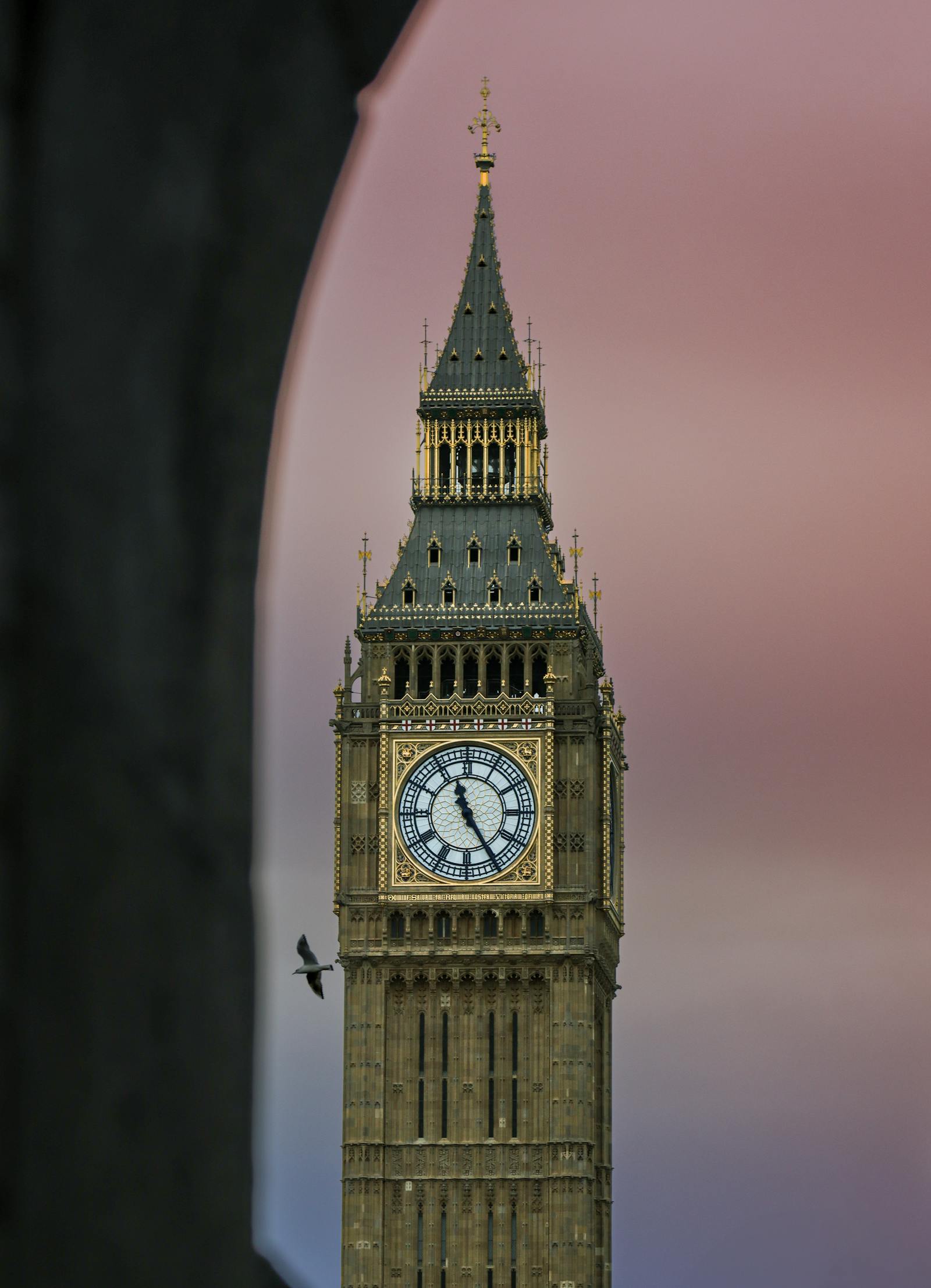 Best+Cleavage+Gif Photos, Download The BEST Free Best+Cleavage+Gif ...