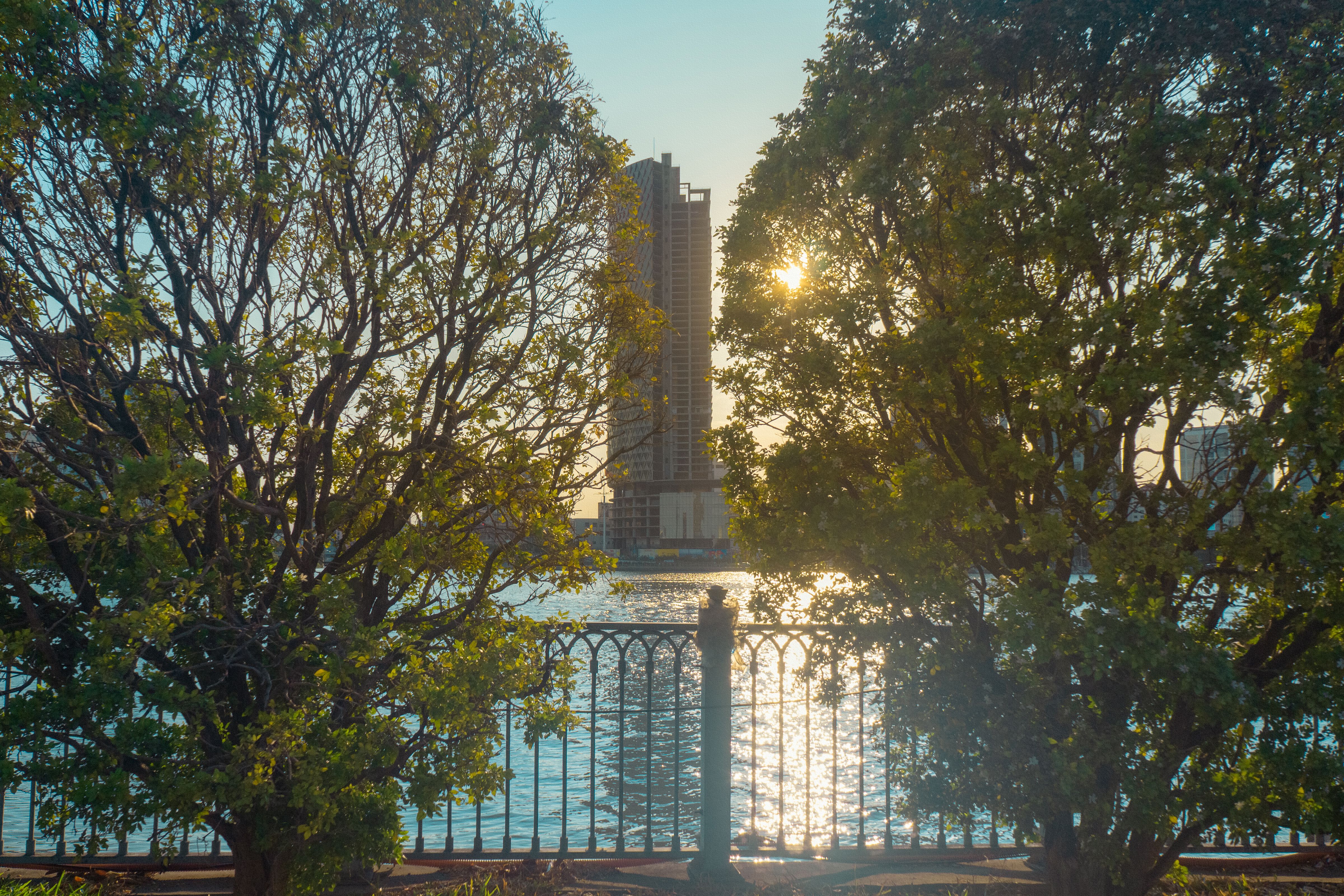Urban Landscape with Sunlight Peeking Through Trees · Free Stock Photo