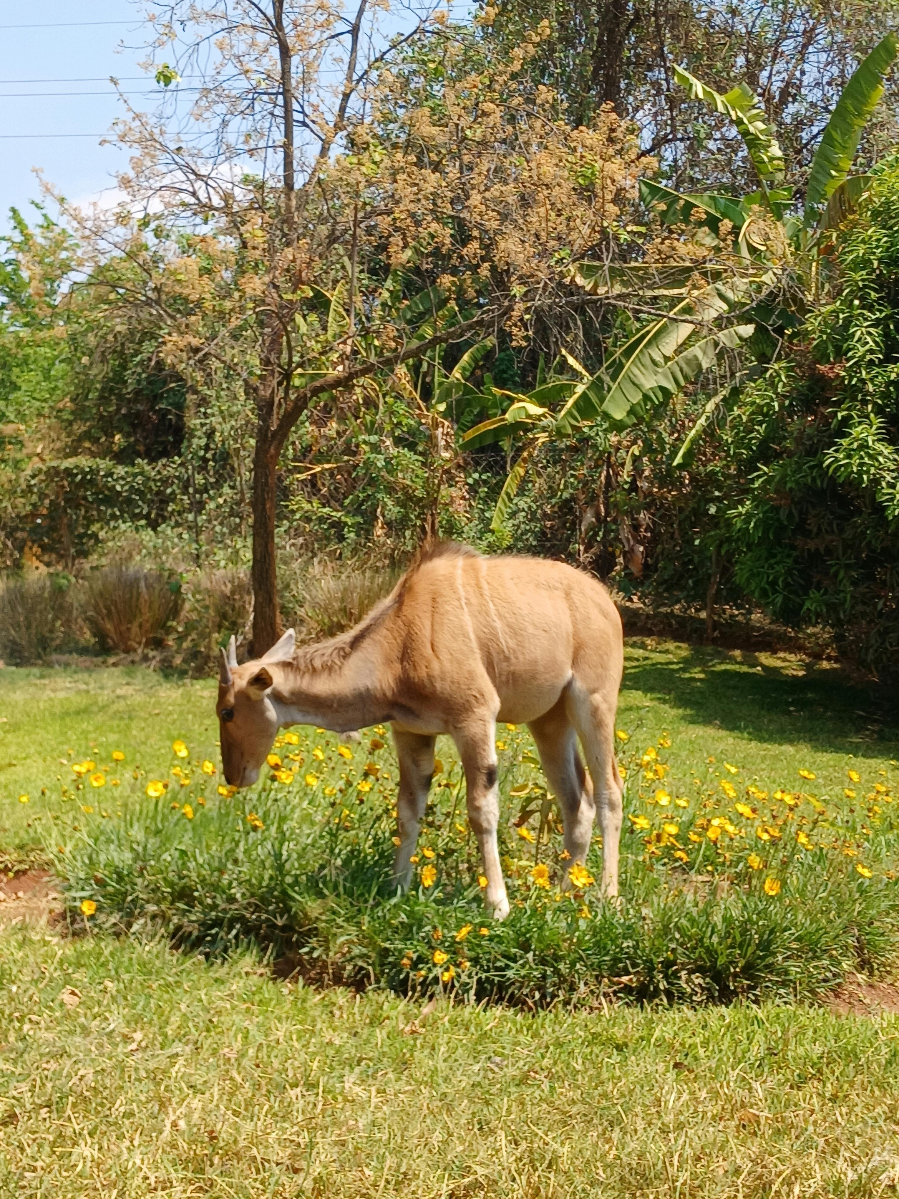 Inner Peace Photos, Download The BEST Free Inner Peace Stock Photos ...