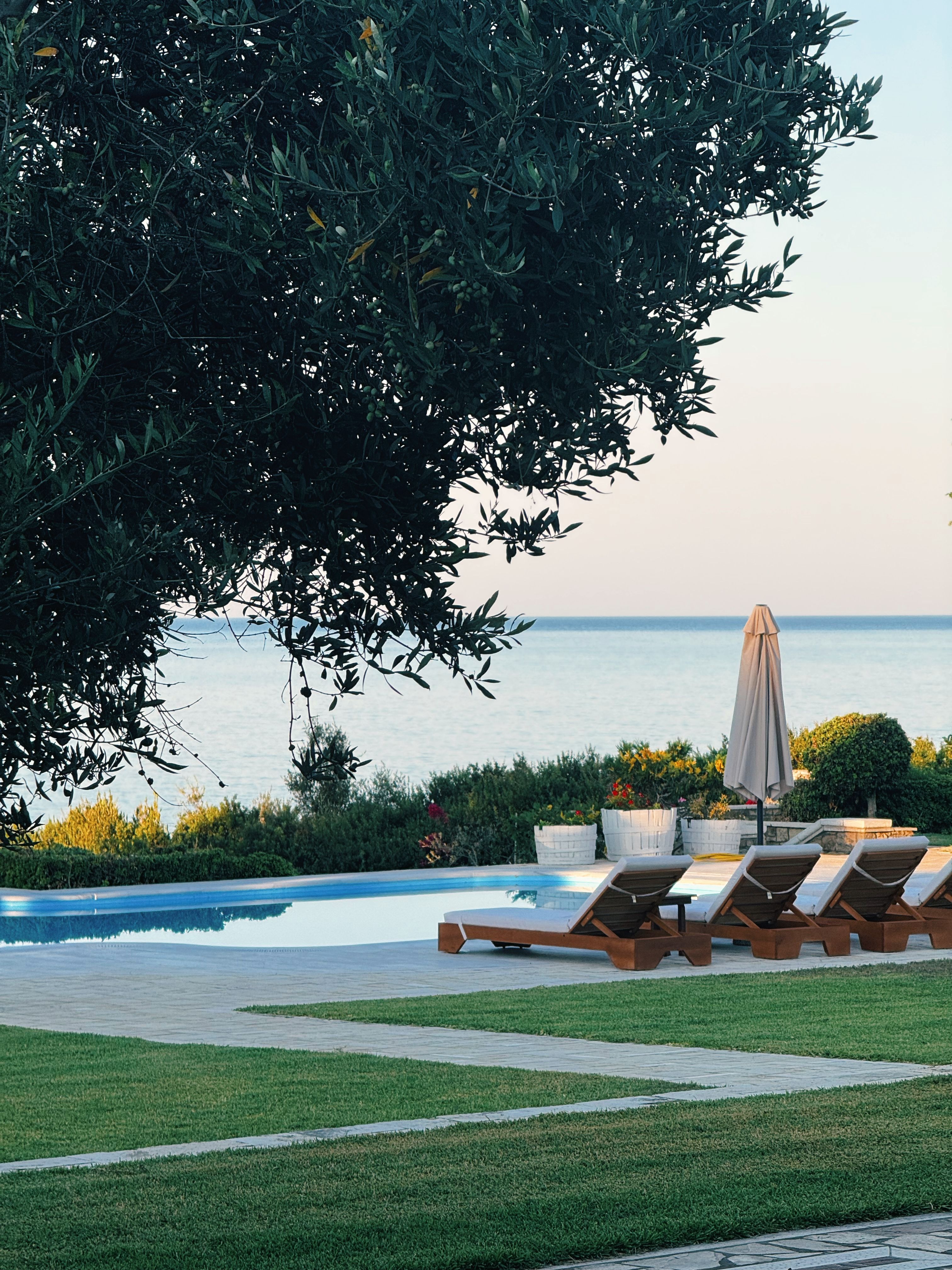 Poolside Garden Photos, Download The BEST Free Poolside Garden Stock ...