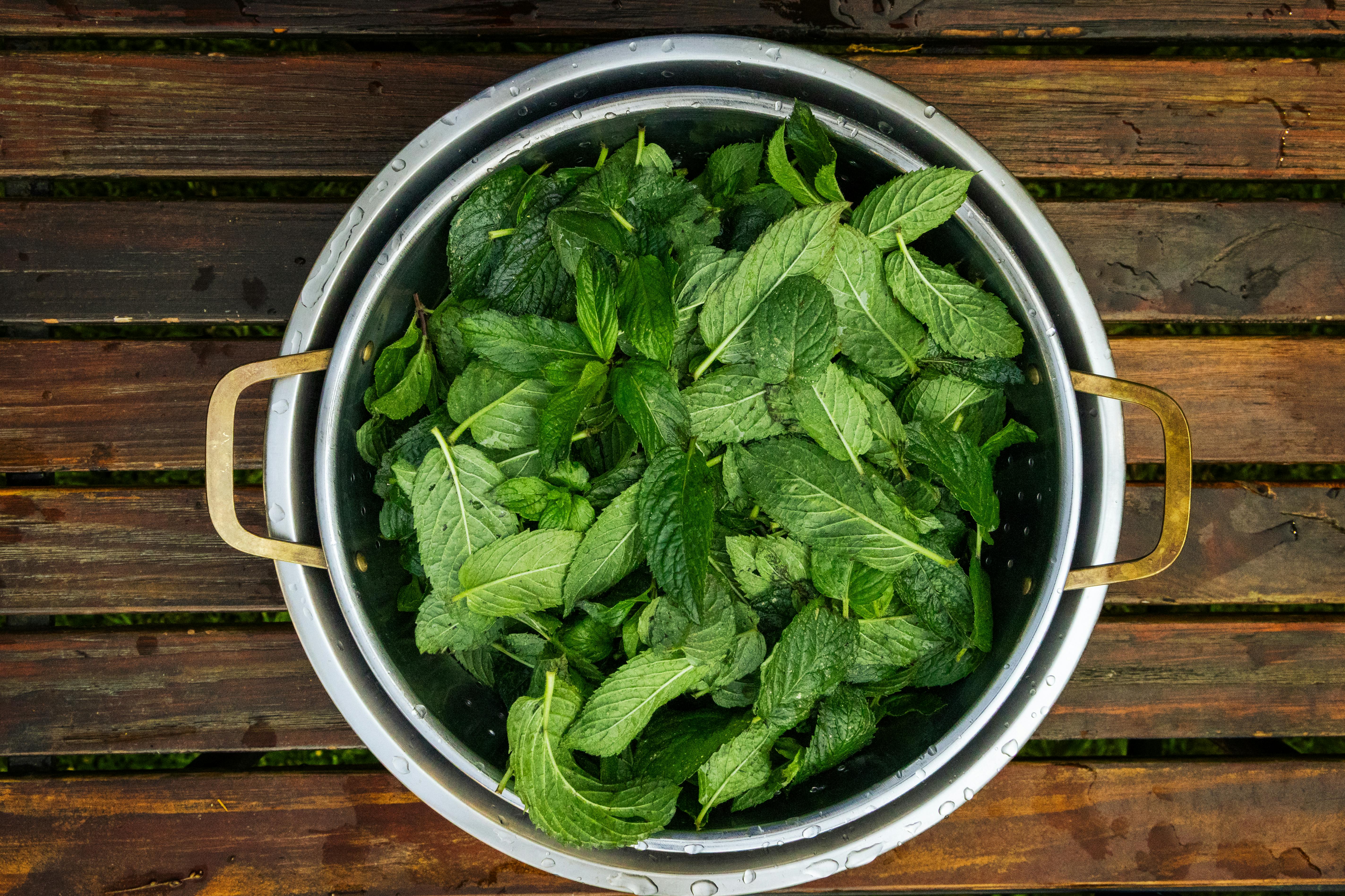 Satguru Mata Sudiksha Ji Maharaj Photos, Download The BEST Free Satguru ...