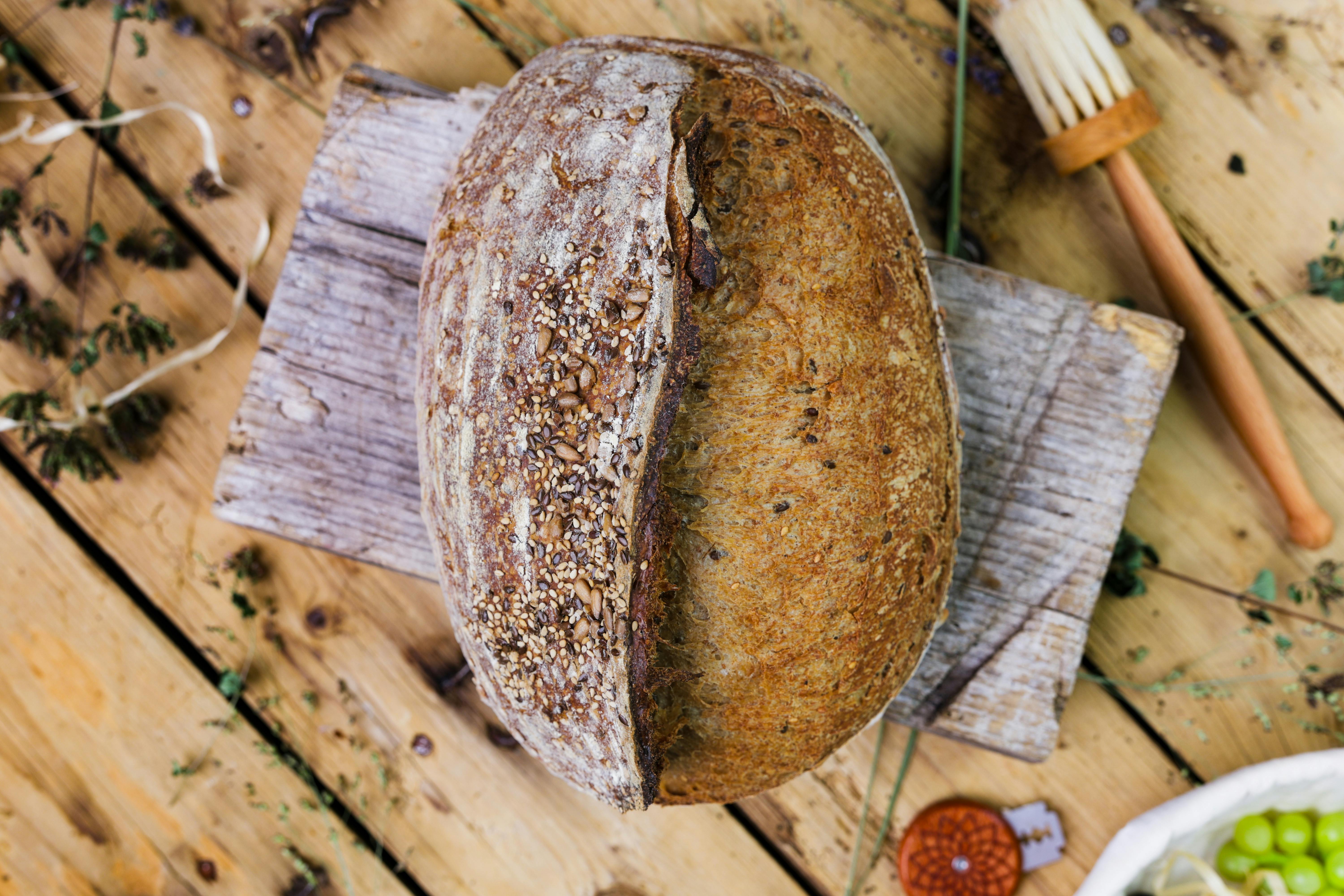 100.000+ Welcome Back Bilder und Fotos · Kostenlos Downloaden · Pexels ...