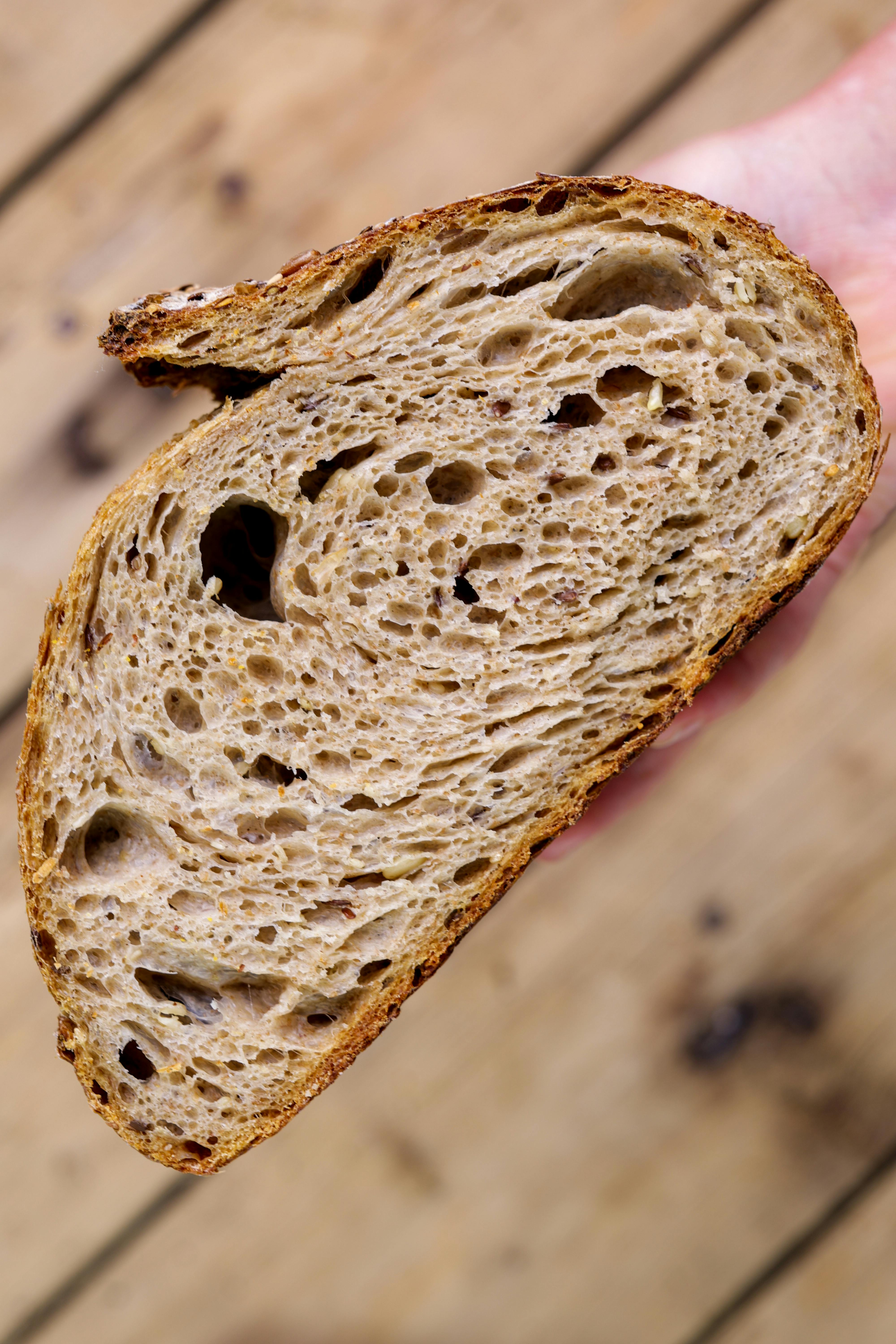 100.000+ Welcome Back Bilder und Fotos · Kostenlos Downloaden · Pexels ...