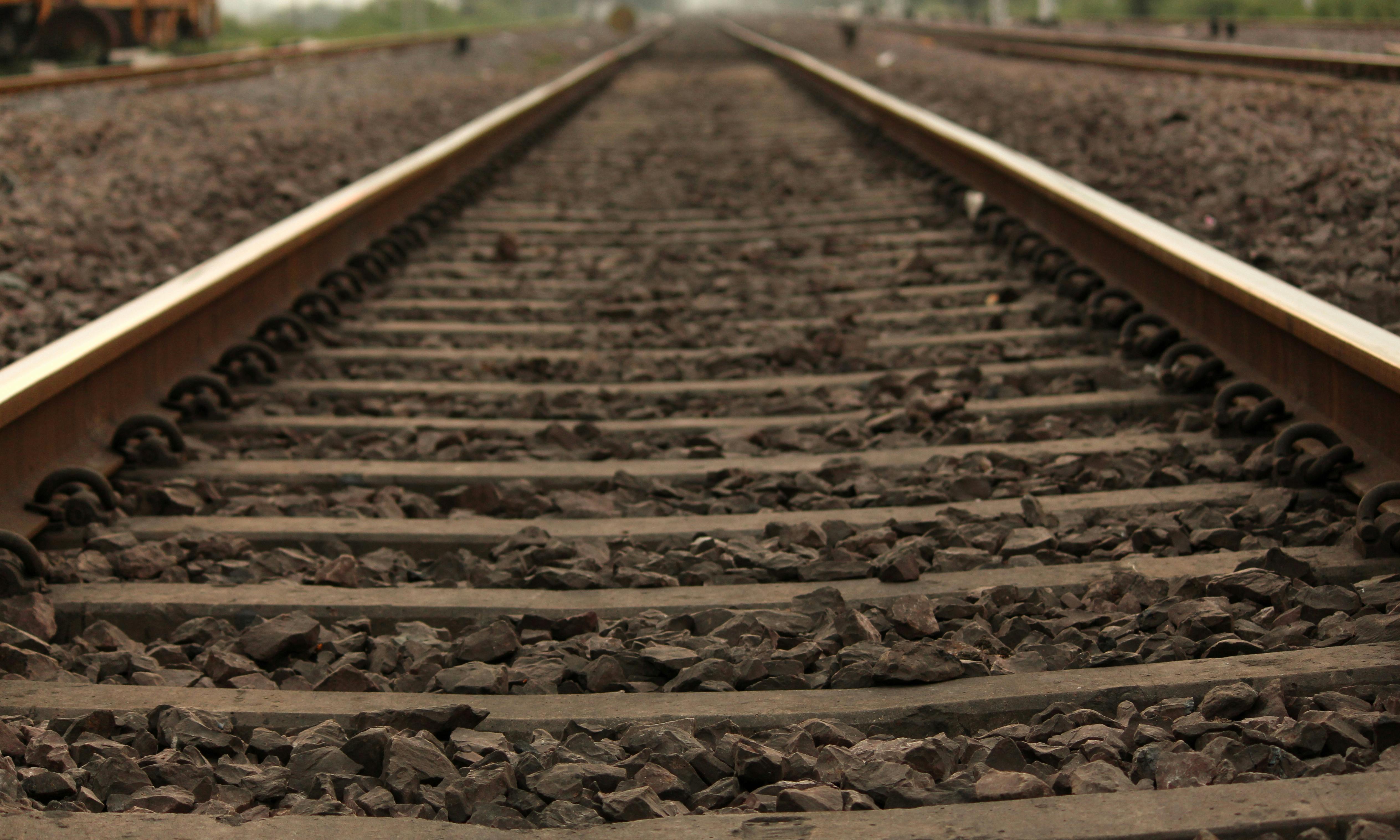 Path Found Photos, Download The BEST Free Path Found Stock Photos & HD ...