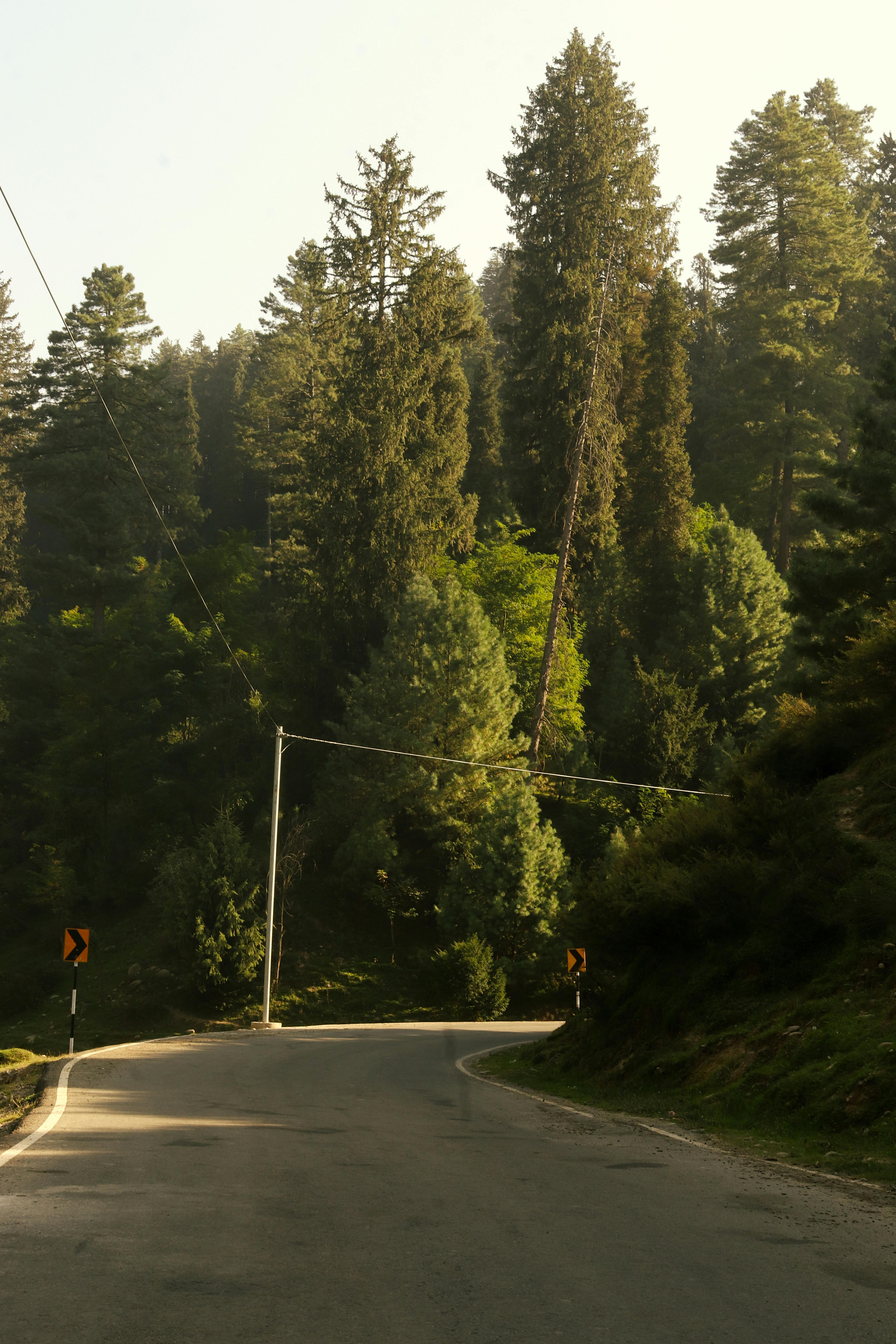 Pricing Curve Photos, Download The BEST Free Pricing Curve Stock Photos & HD Images