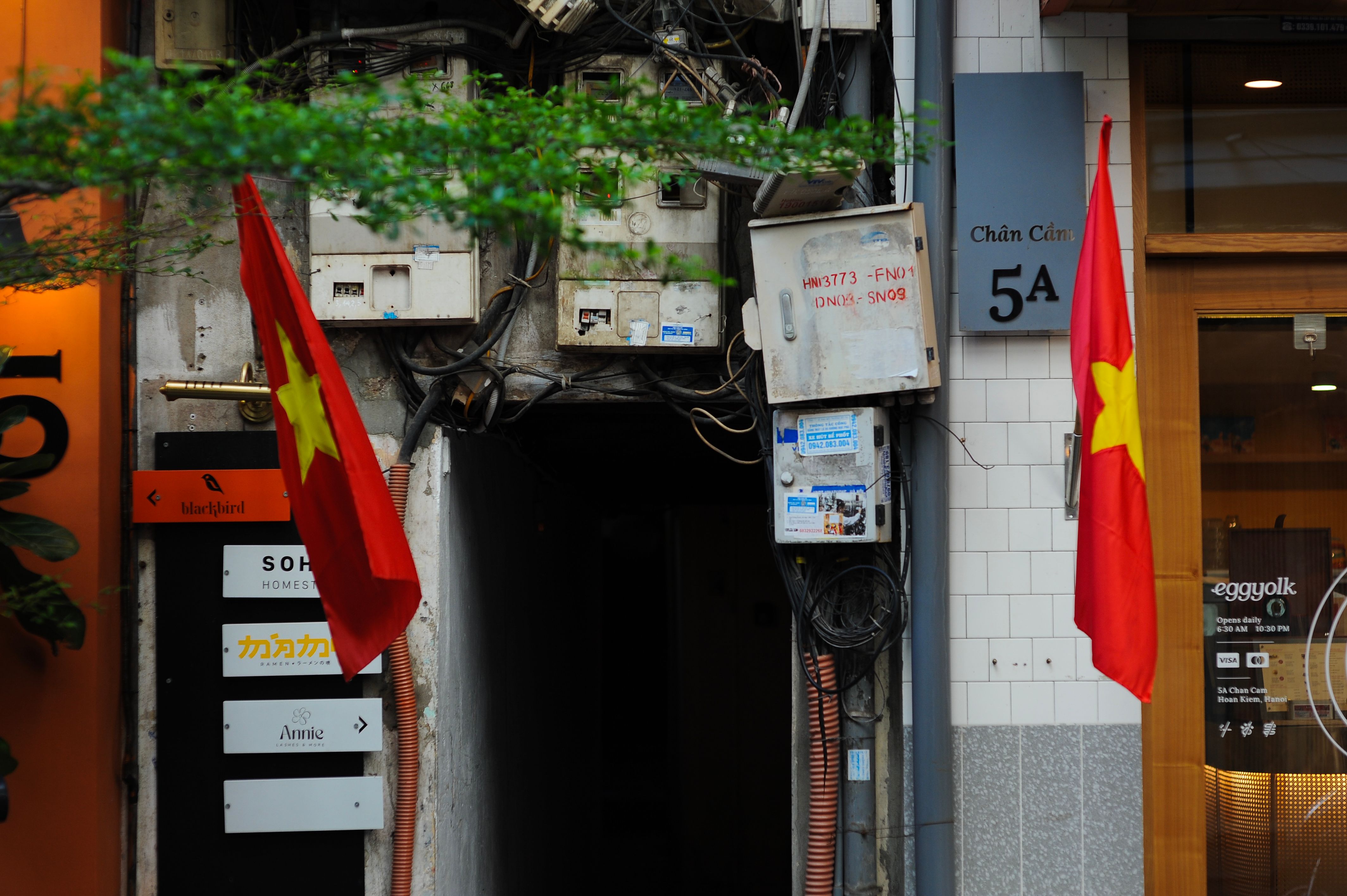 Vietnamese Street Scene with Flags and Signs · Free Stock Photo
