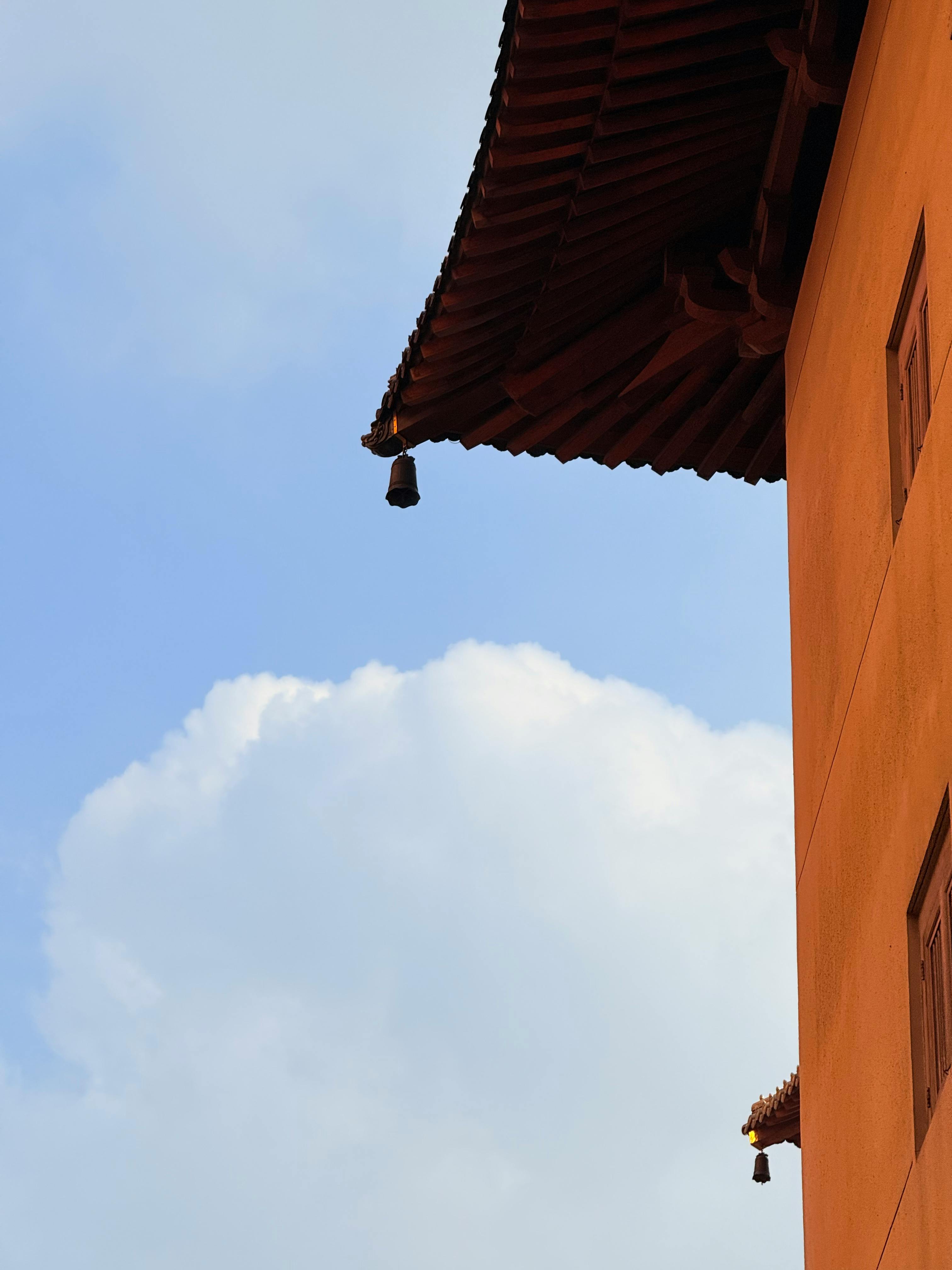 Outside Photos, Download The BEST Free Outside Stock Photos & HD Images