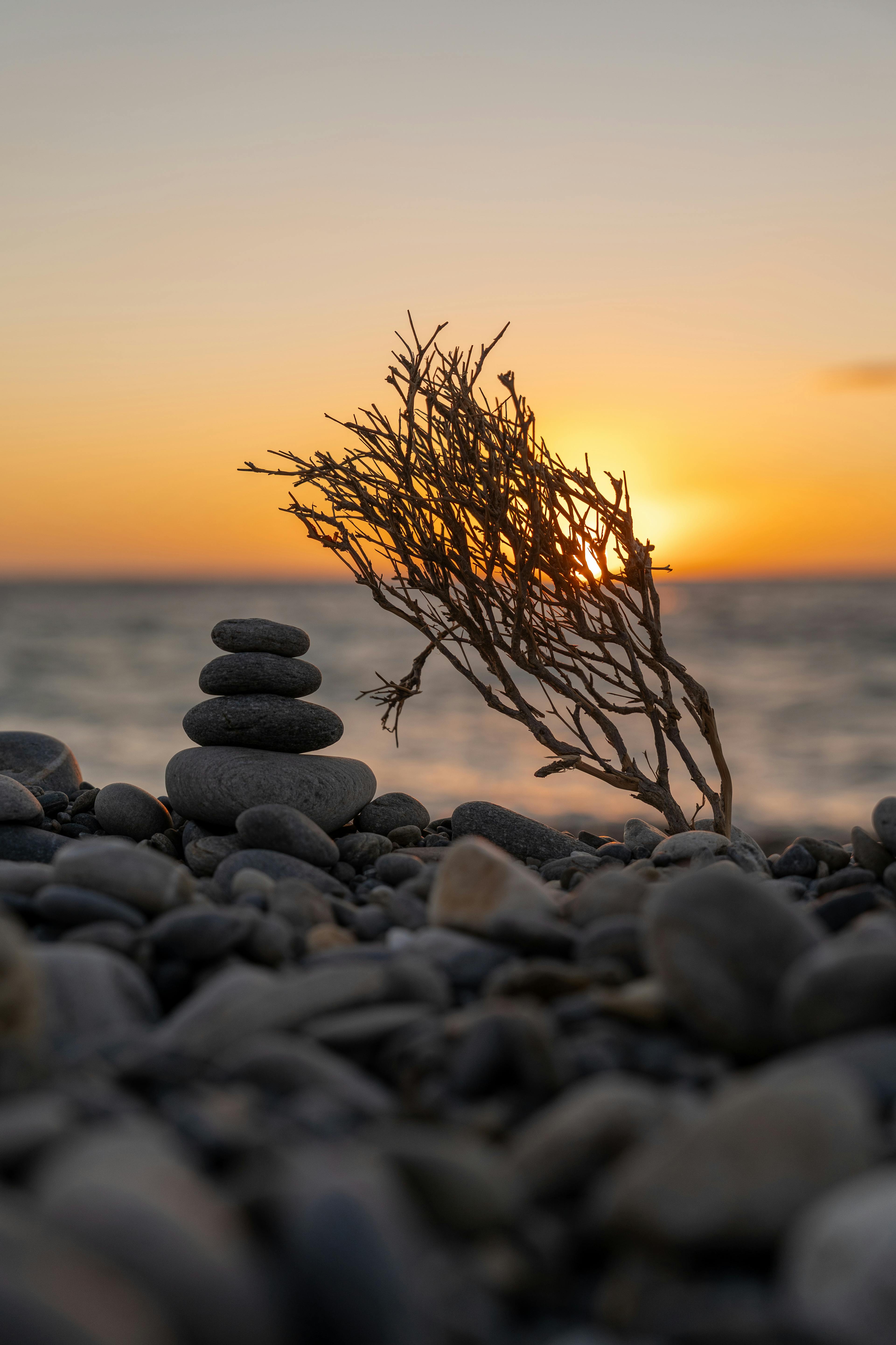 Stack Photos, Download The BEST Free Stack Stock Photos & HD Images