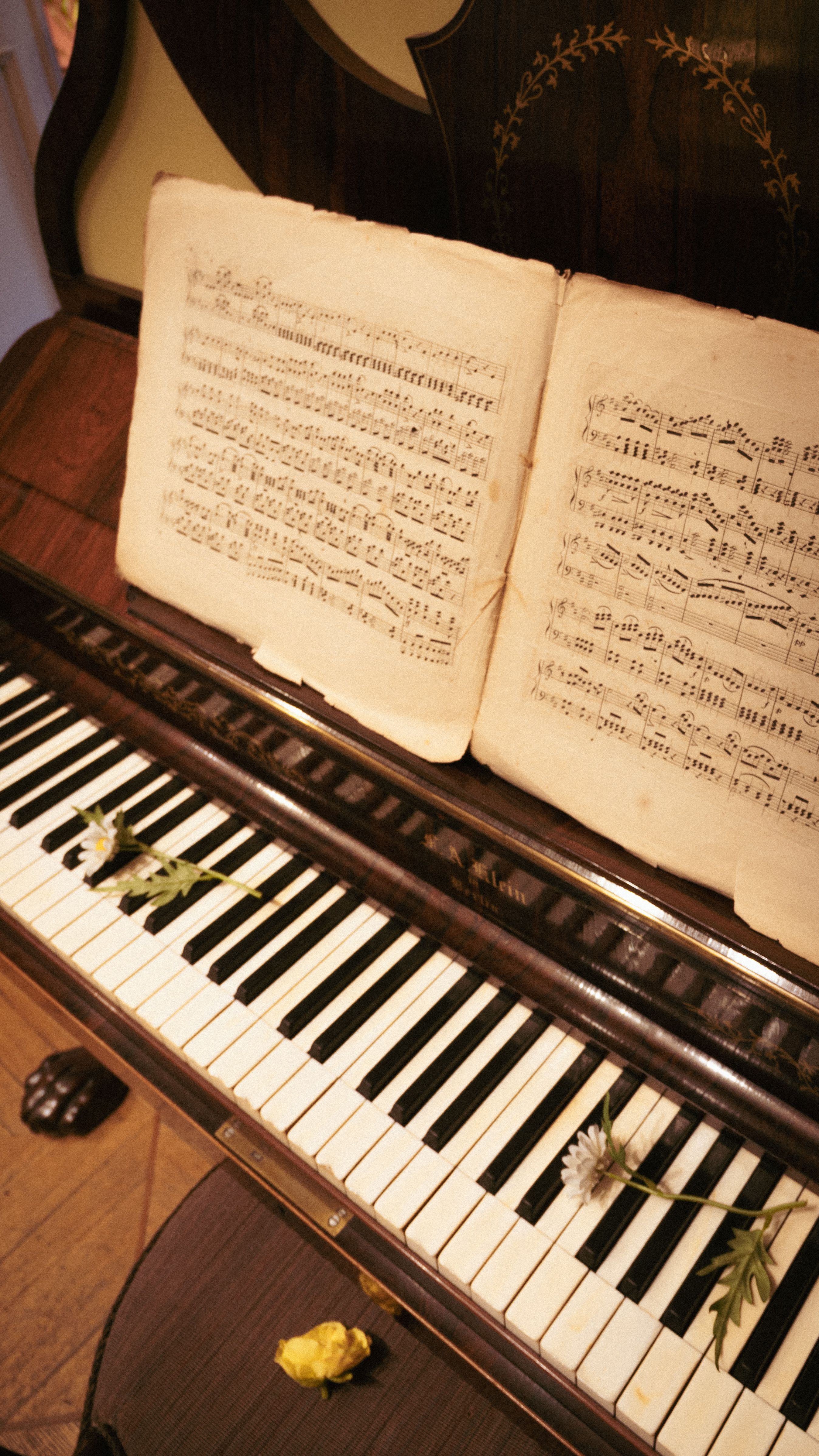 Music Notes Photos, Download The BEST Free Music Notes Stock Photos ...