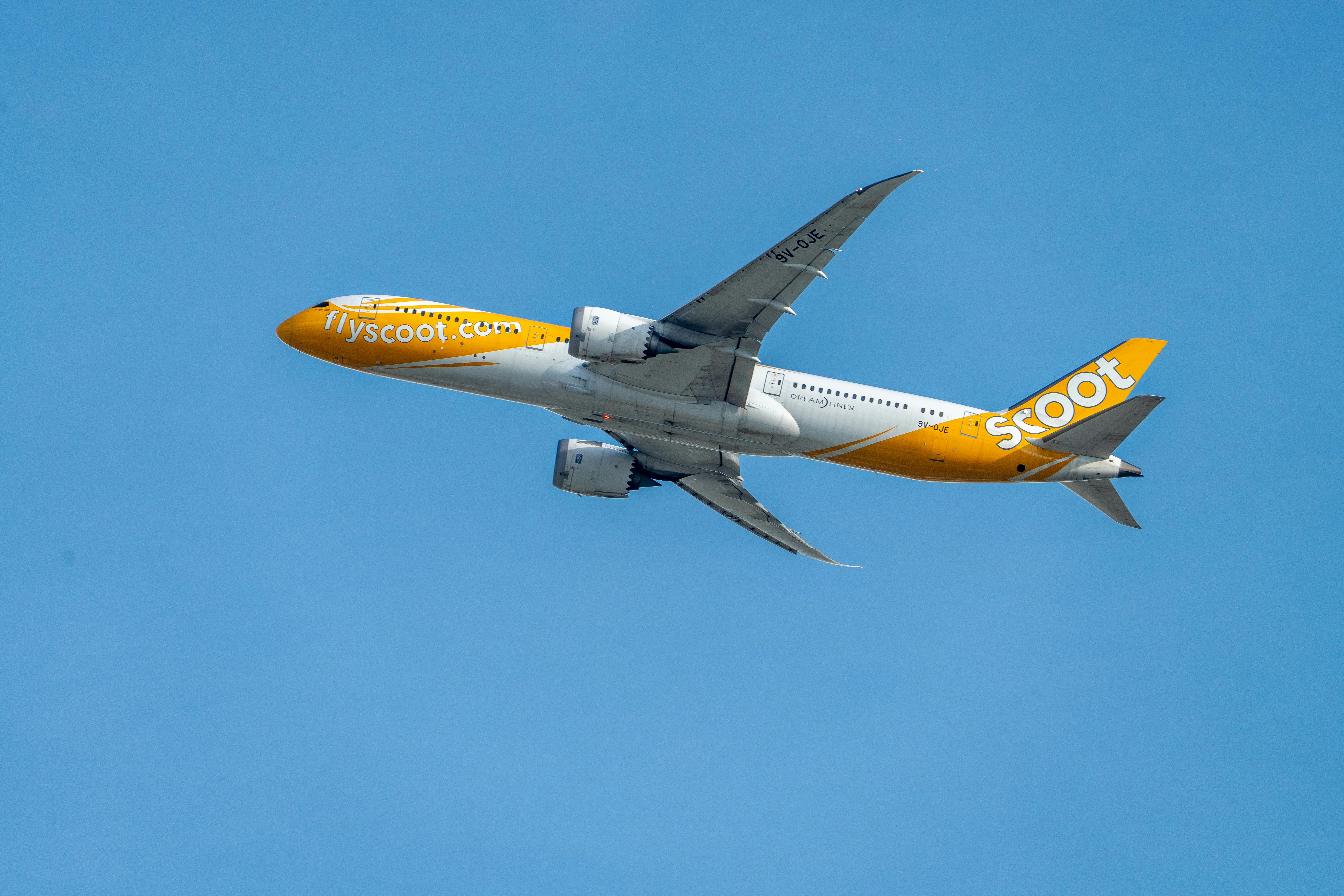 Scoot Airline's Boeing 787 in Flight Against Blue Sky · Free Stock Photo